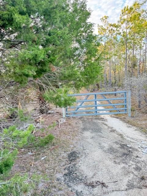 2250 Southwest Highway 361, Steinhatchee, FL 32359 | LandWatch