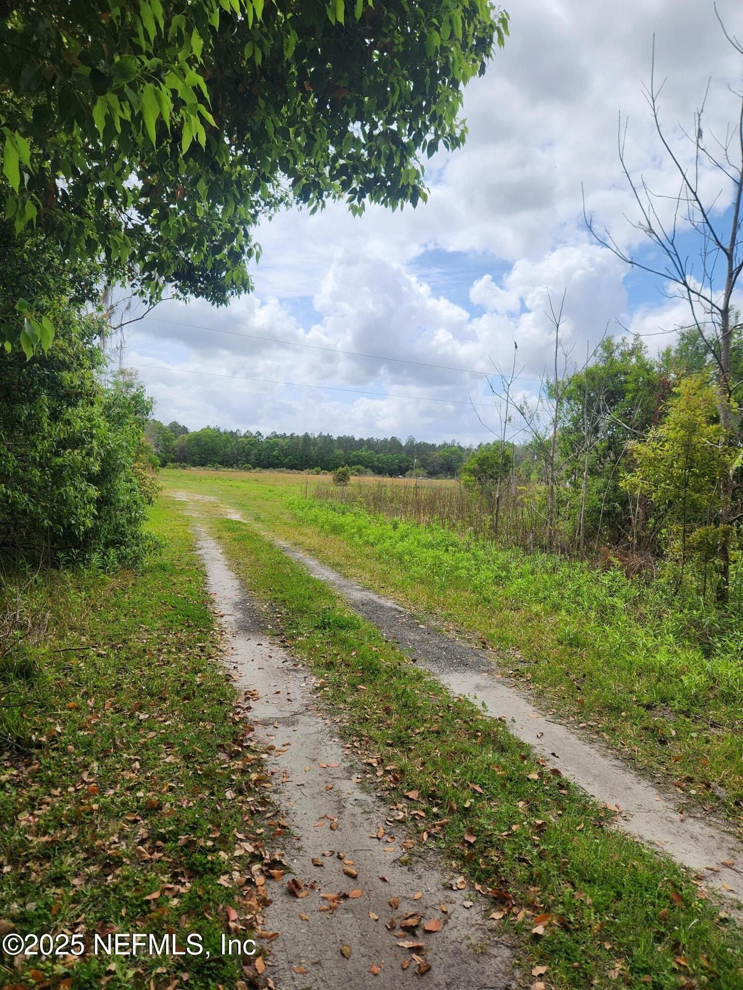 Tbd NE 223RD Street NE, Lawtey, FL 32058 | MLS: 2078656 | LandWatch