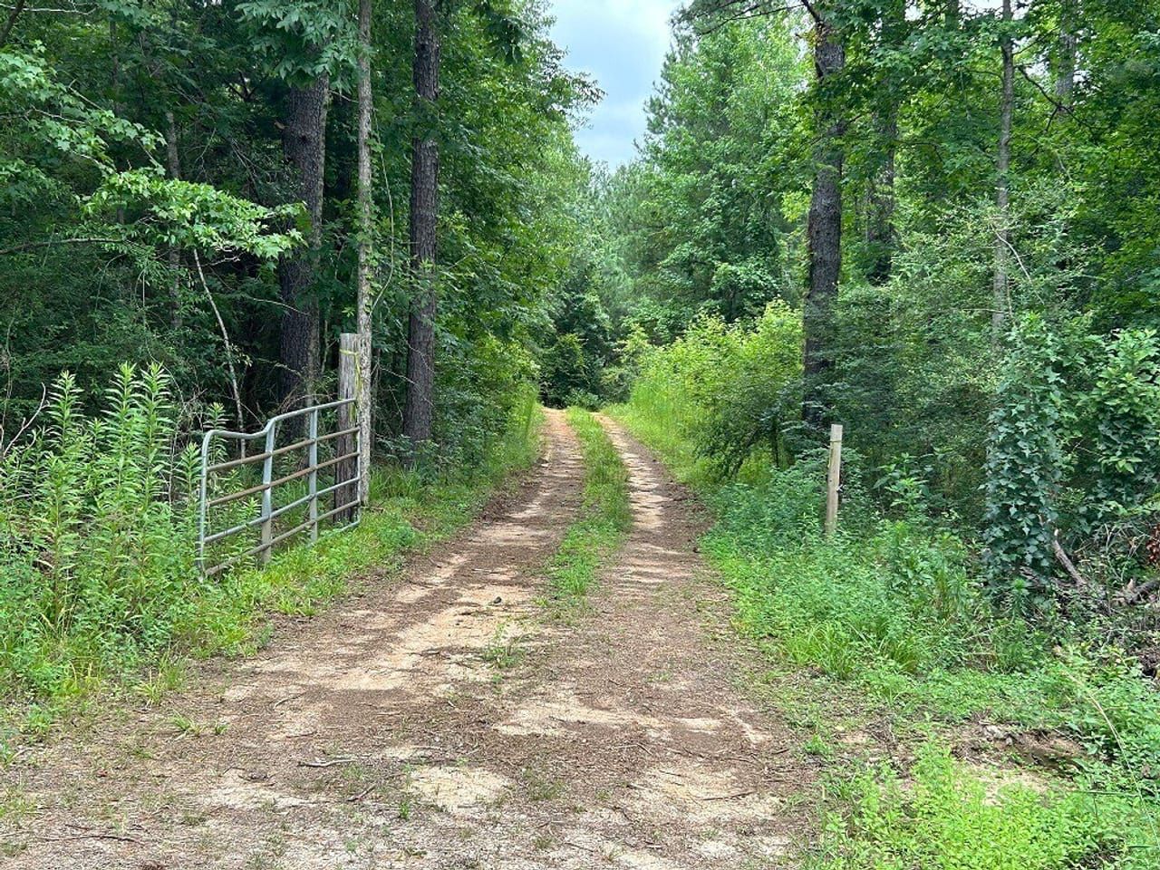 800 Co Hwy 99, Evergreen, AL 36401 | LandWatch