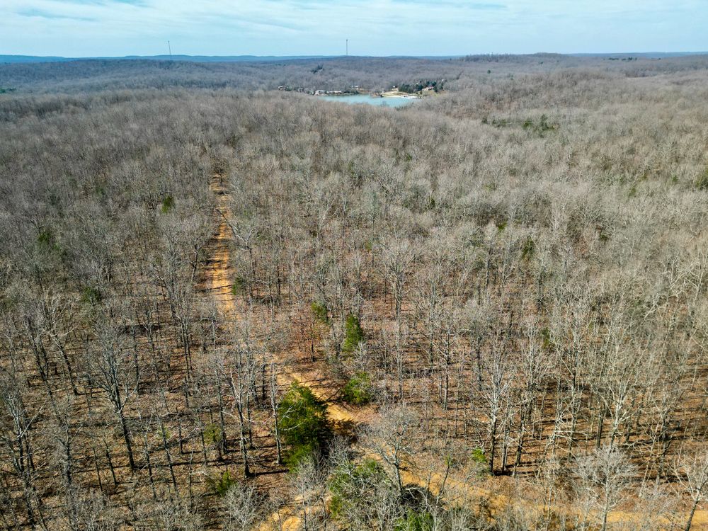 000 Newman Trail, Williford, AR 72482 | MLS: Sharp 160 | LandWatch