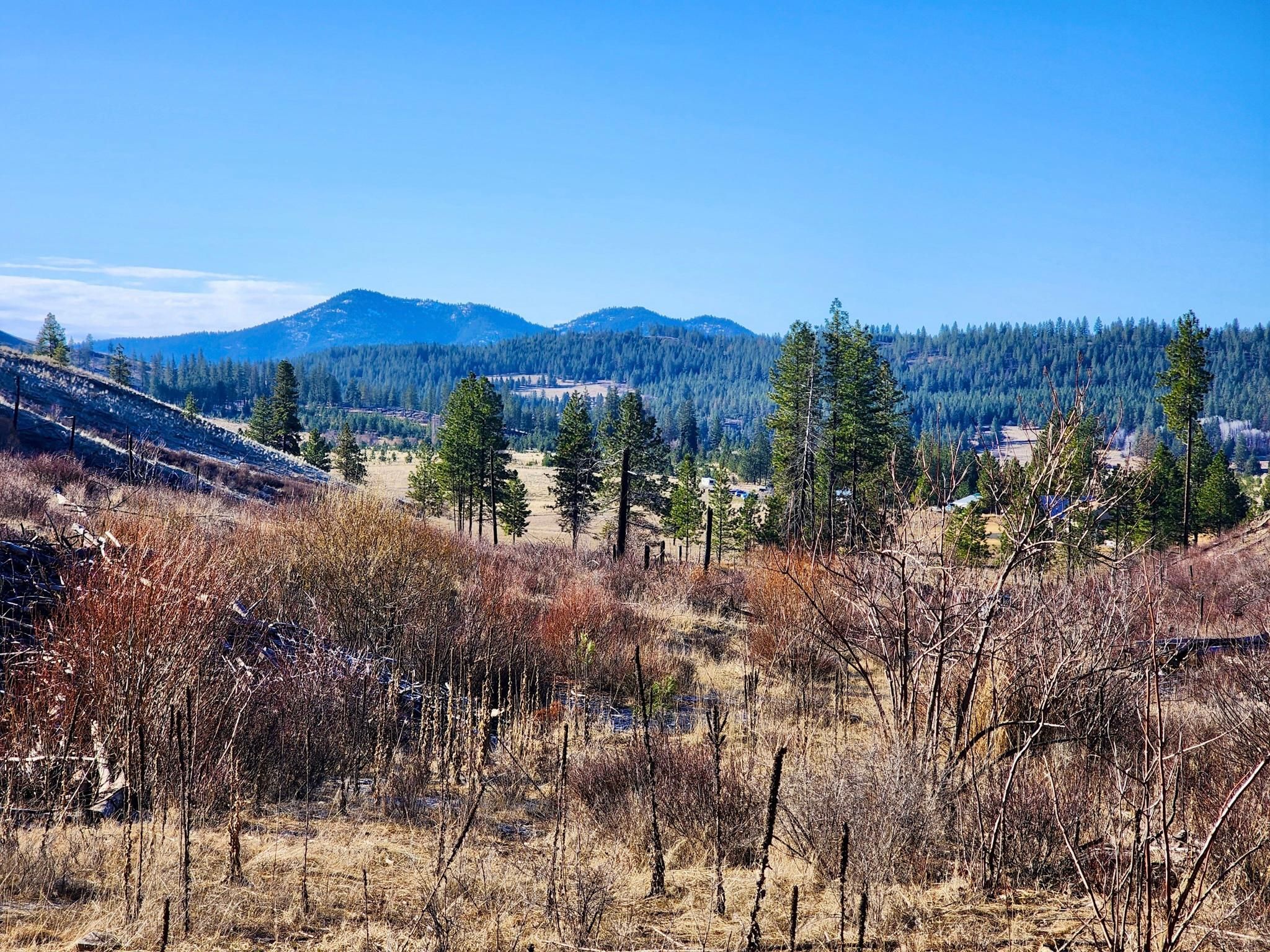 20 acres in Fruitland, WA, 99129 | LandWatch