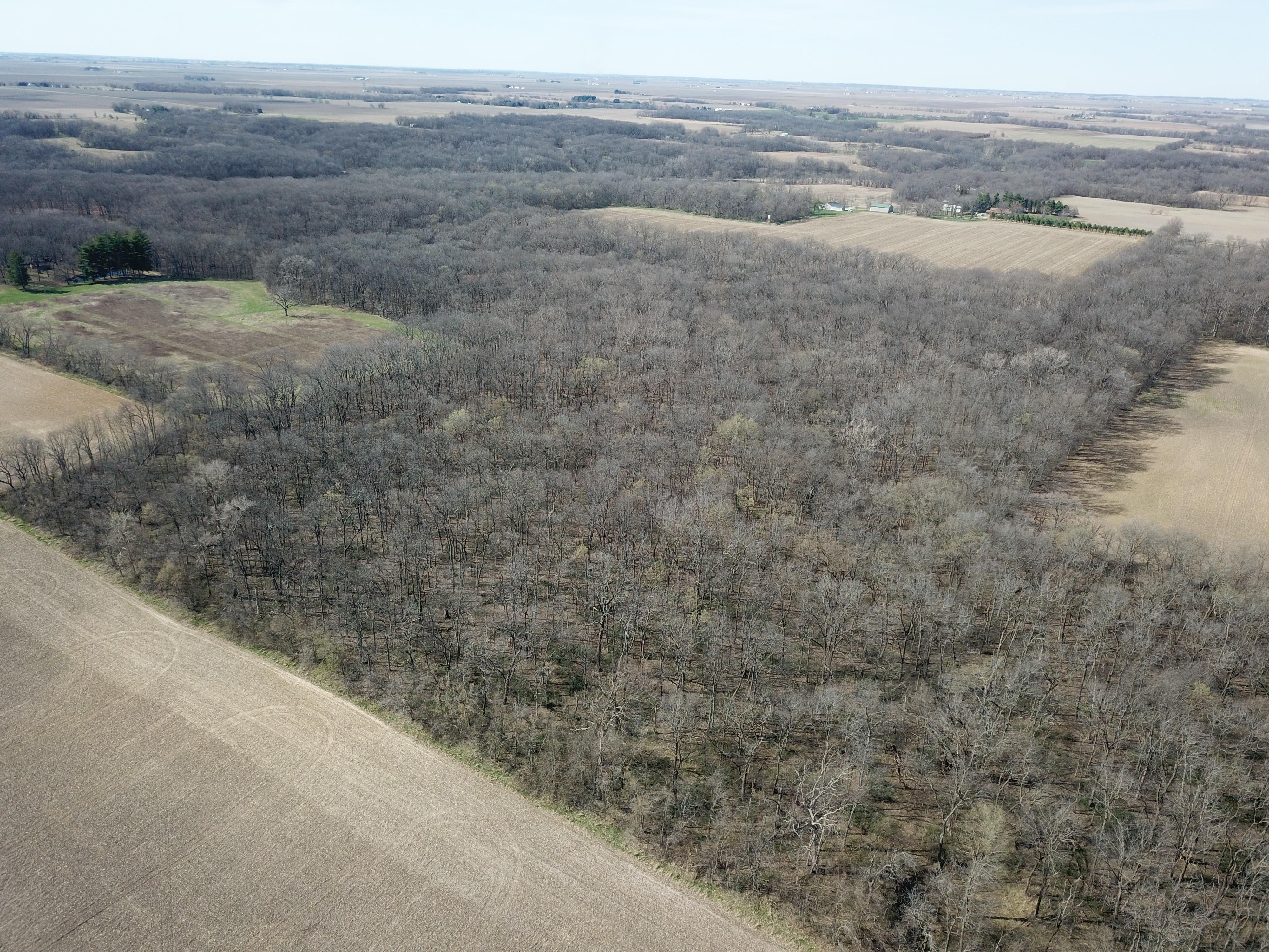 18131 Parnell Road, De Witt, IL 61735 | LandWatch