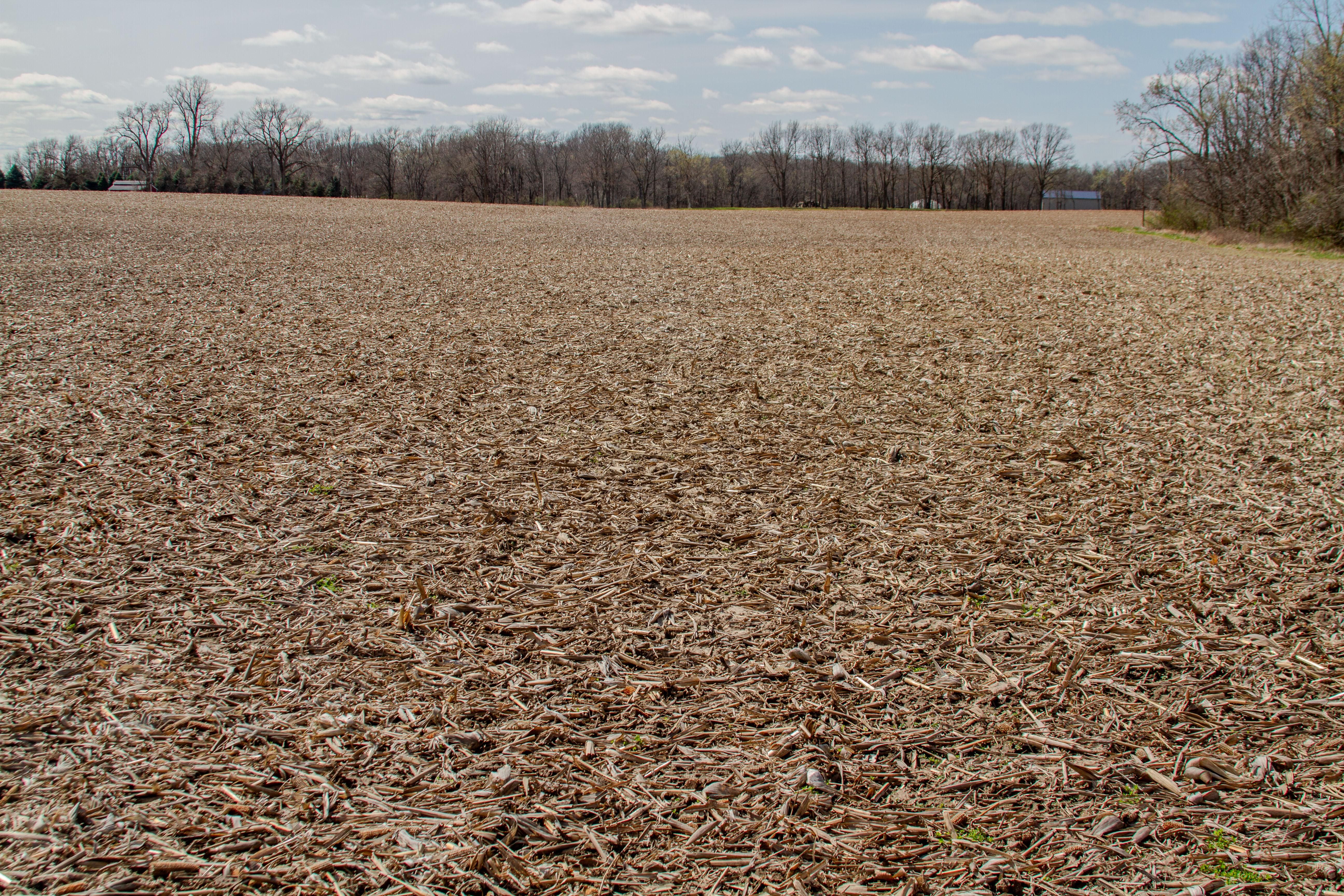 18131 Parnell Road, De Witt, IL 61735 | LandWatch