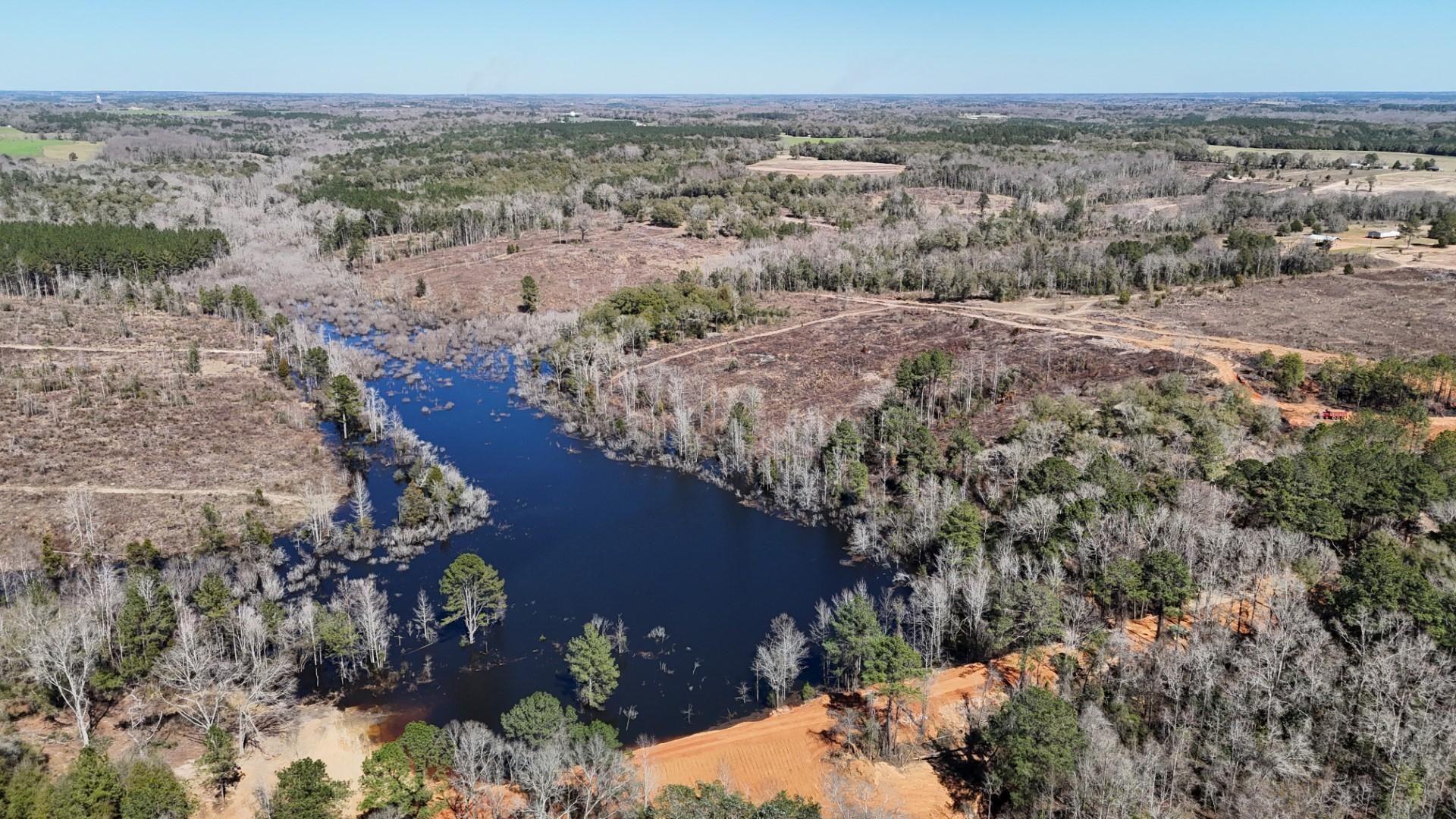 Ammons Pond Road, Echo, AL 36360 | LandWatch