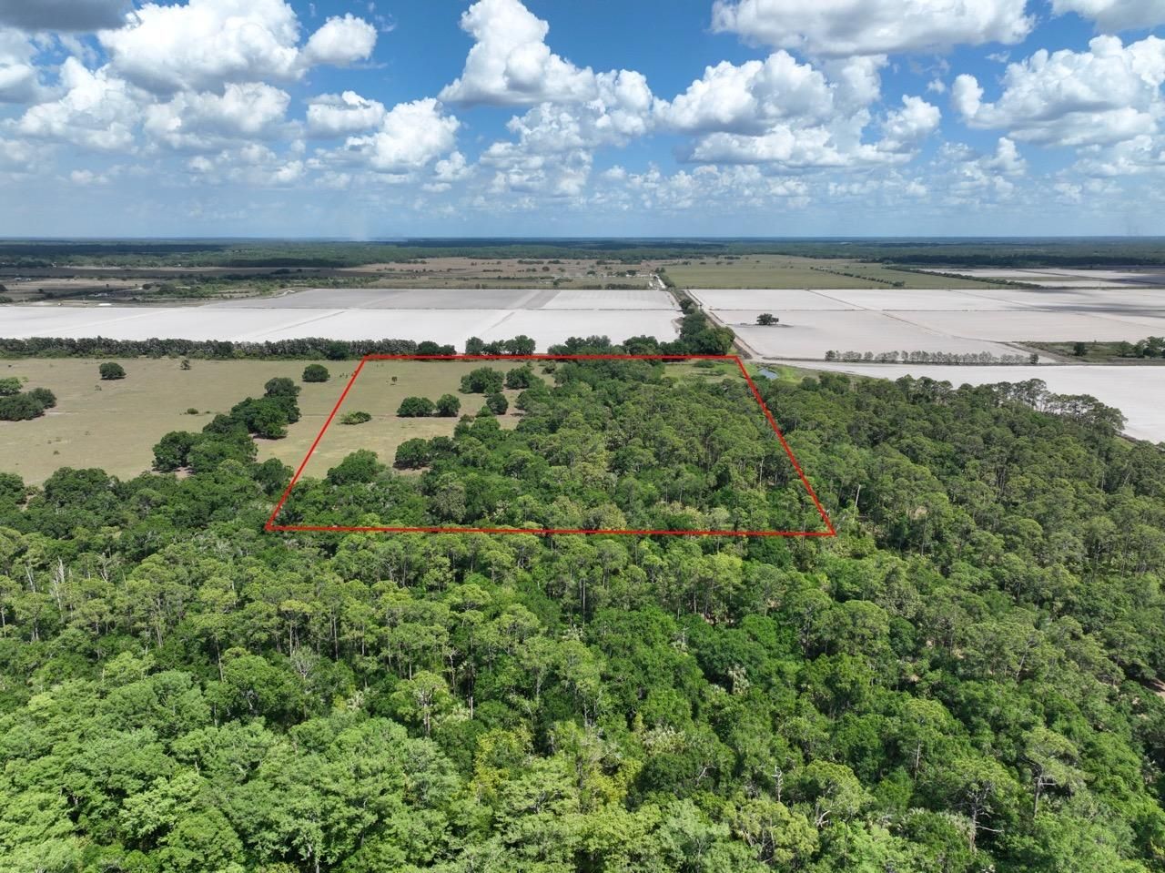 Kirby Thompson Rd, Labelle, FL 33935 | MLS: TB8367632 | LandWatch