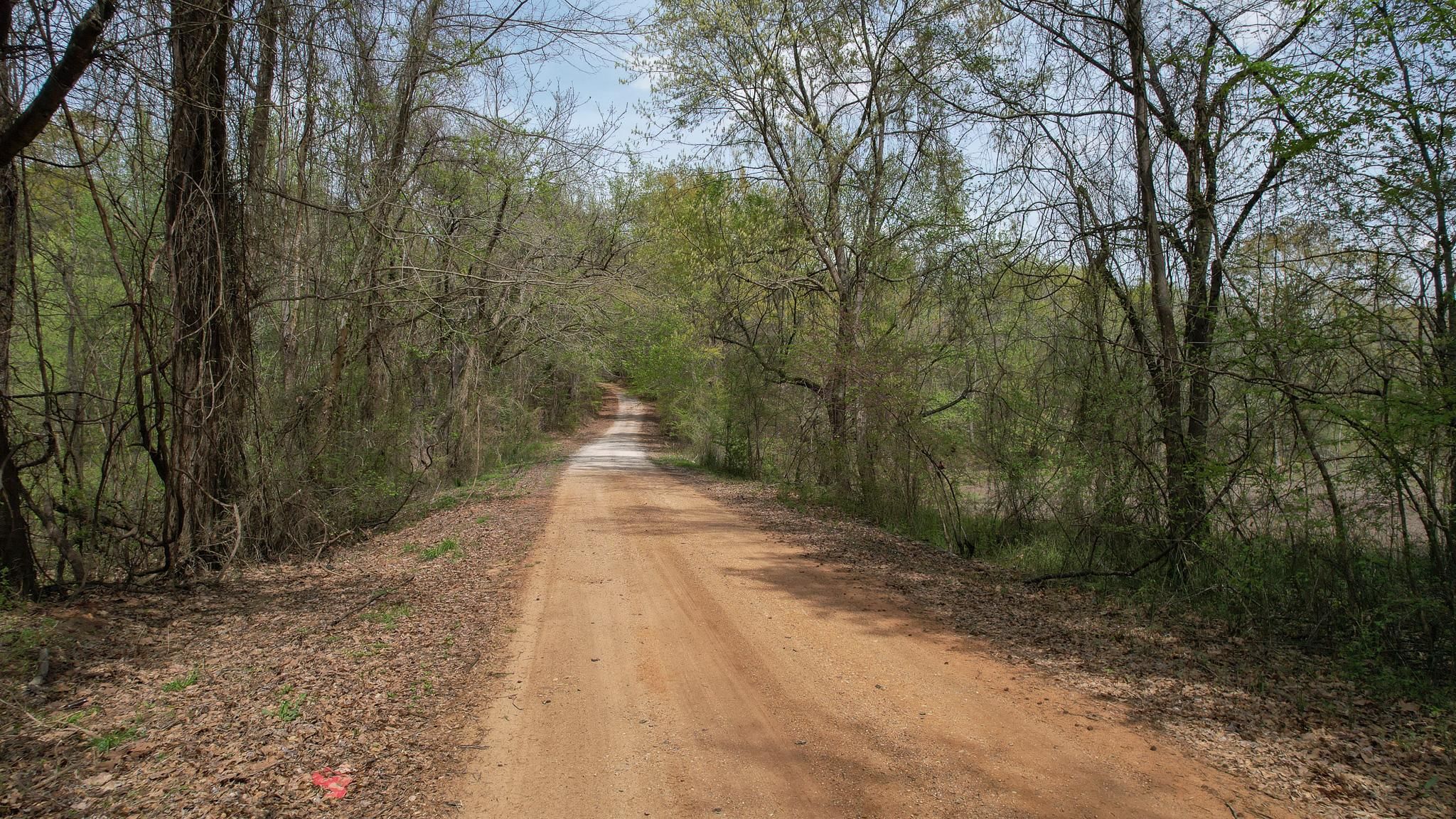 TBD County Road 3313, Spring Hill, TX 75559 | MLS: Stunning ...