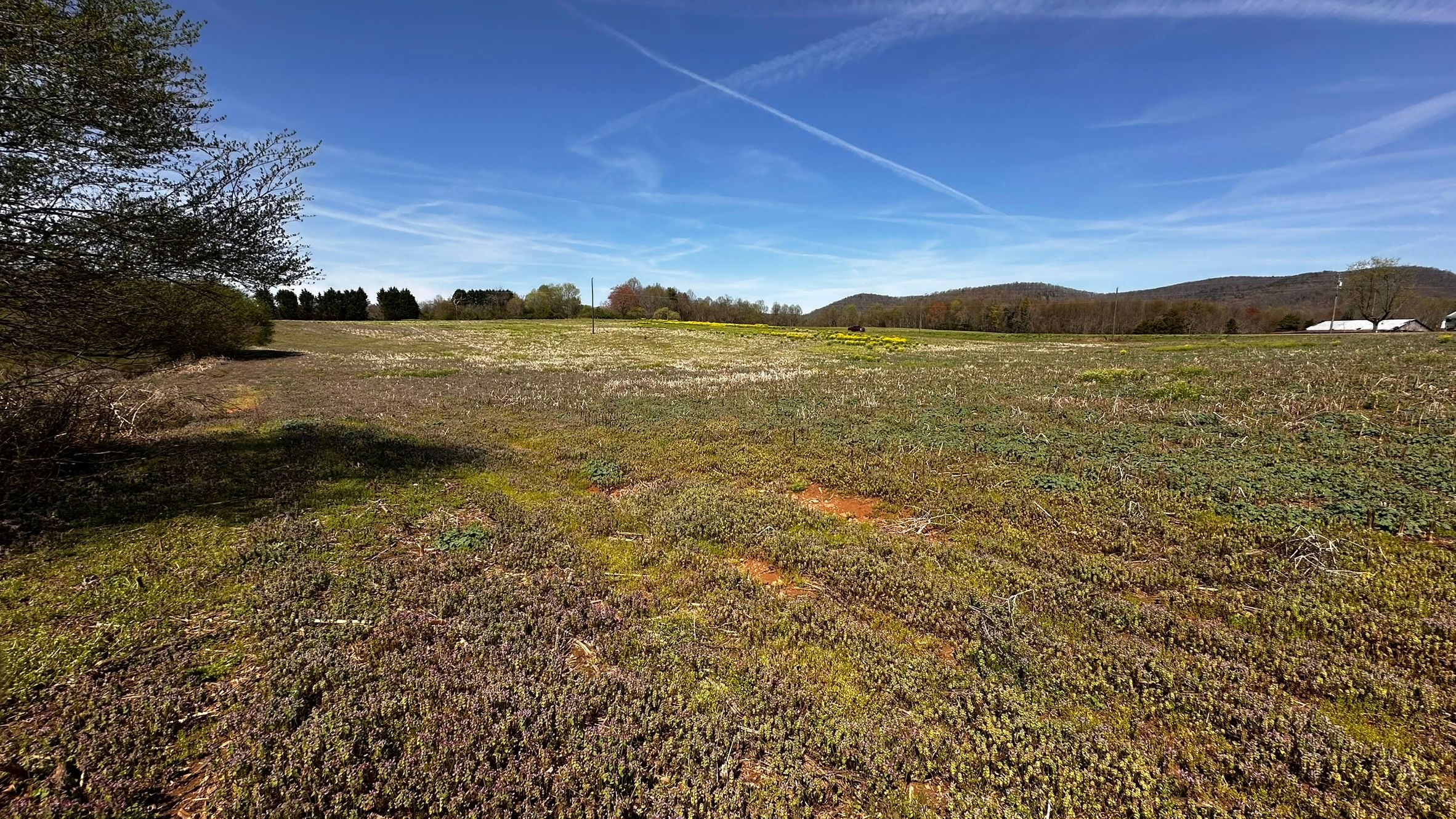 720 Christian Home Church Rd, Traphill, NC 28685 | MLS: 1175456 | LandWatch