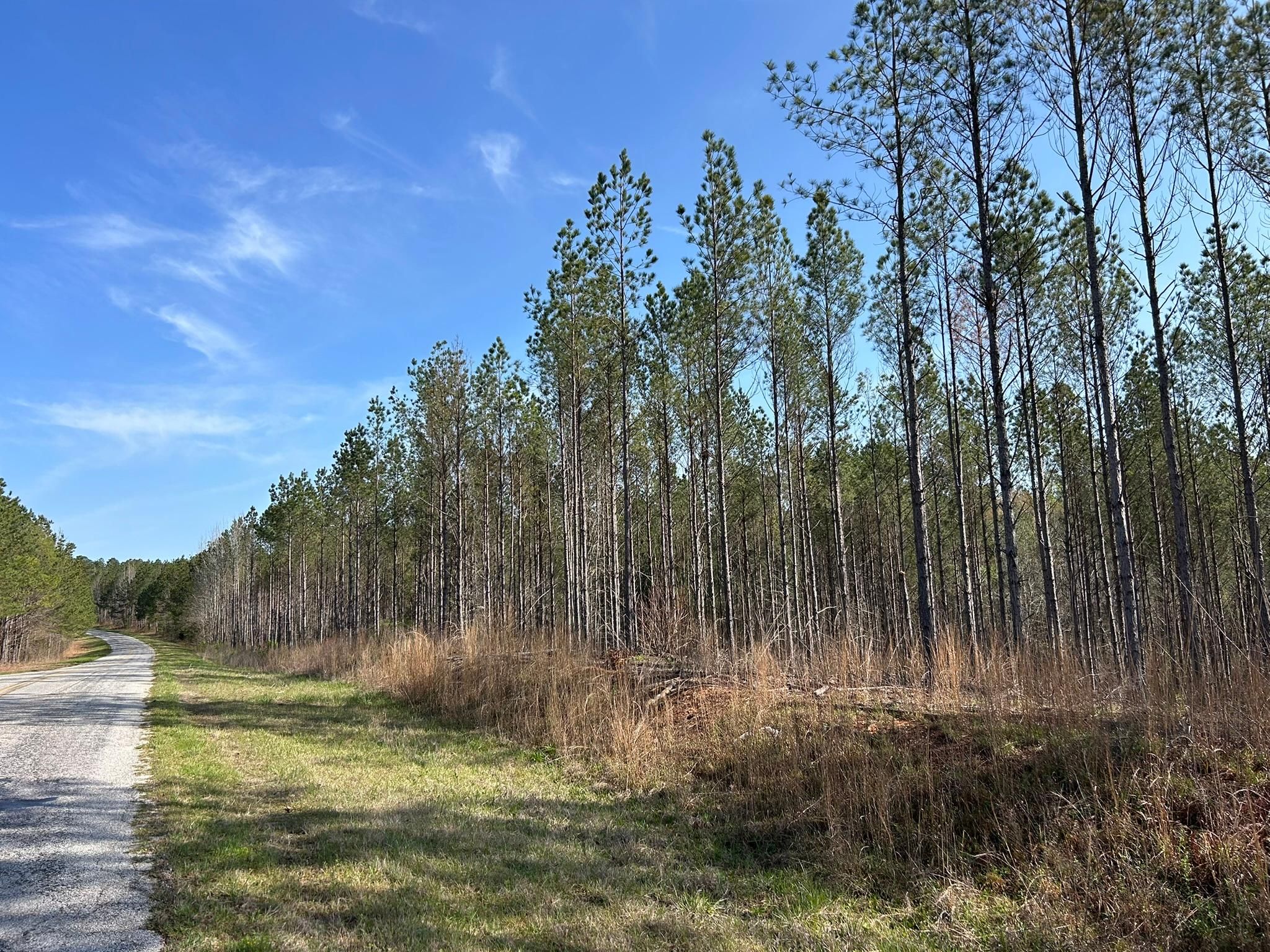 Bluff Springs Road, Goldville, AL 36256 | LandWatch