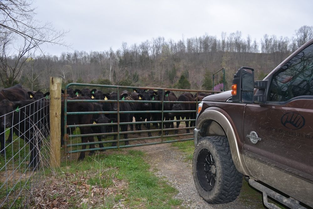 Gosser Ridge Road, Lot#WP001, Liberty, KY 42539 | LandWatch