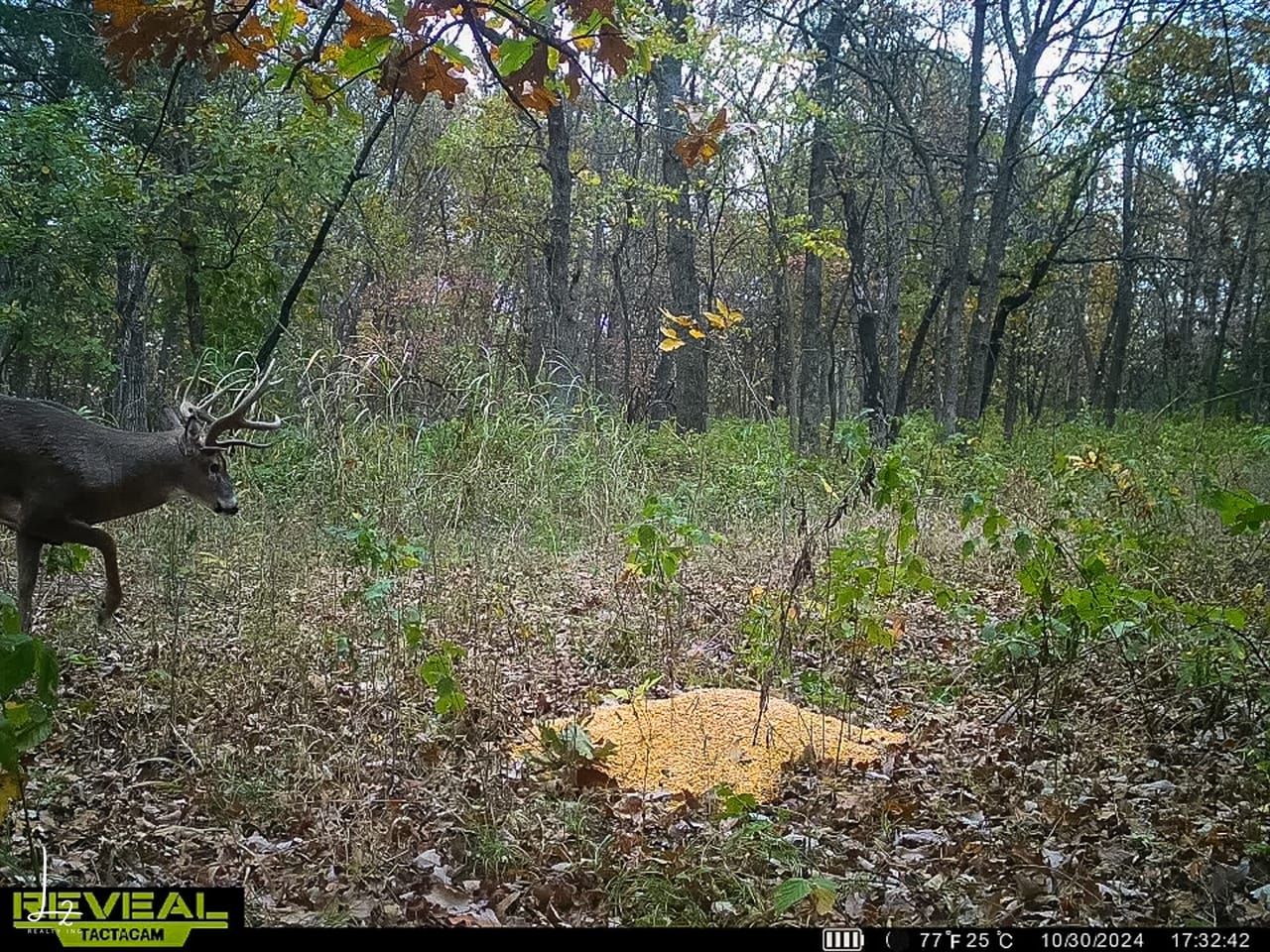 1801 N 12th, Neodesha, KS 66757 | LandWatch