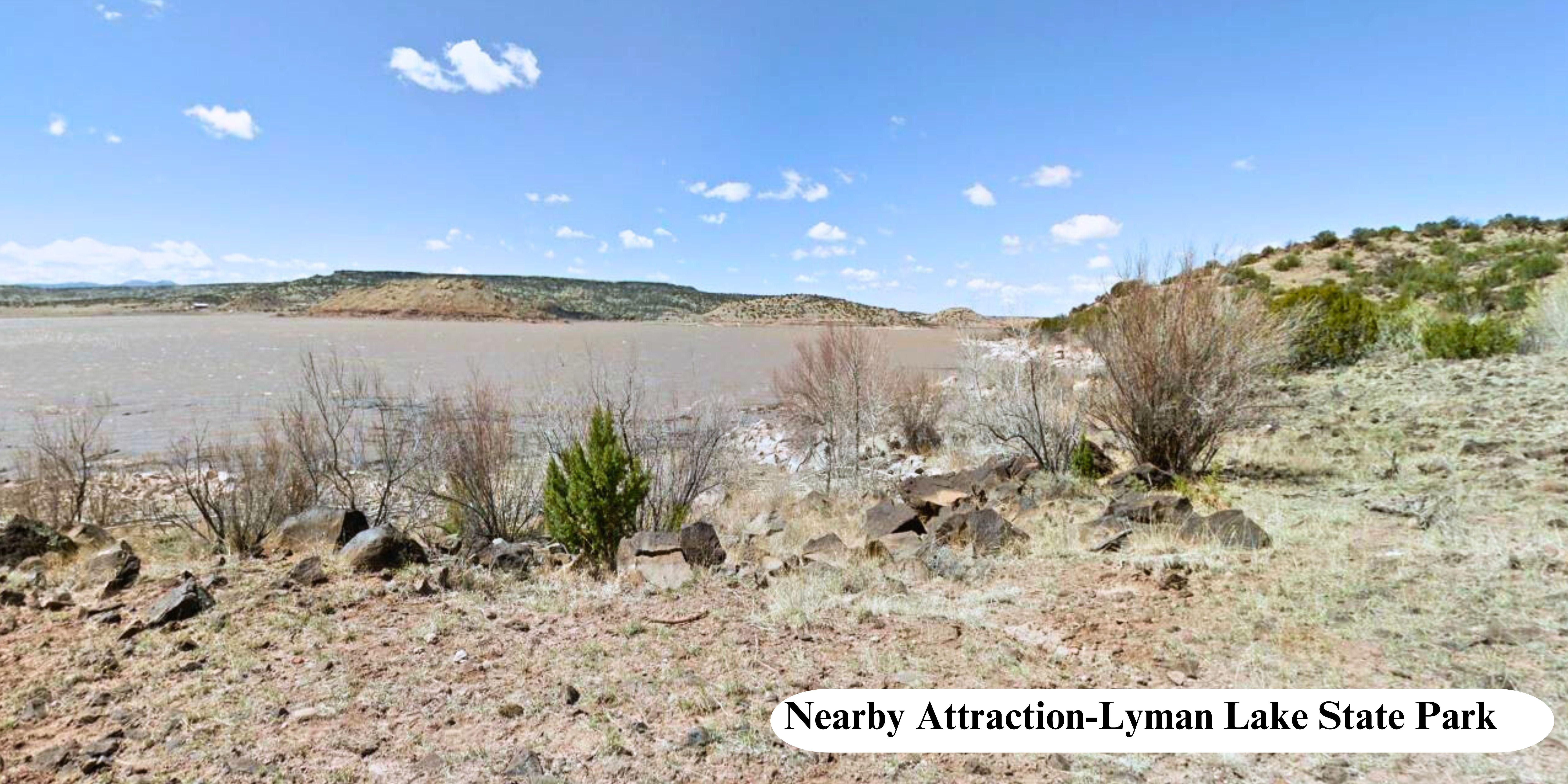 County Road N5477, Concho, AZ 85924 | LandWatch