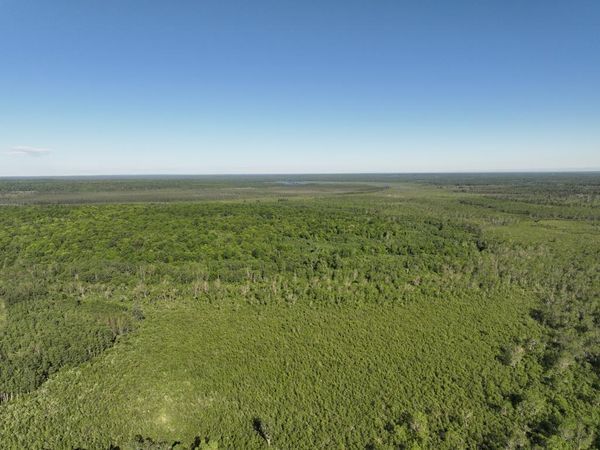 360 acres in Prentice, WI, 54513 | LandWatch