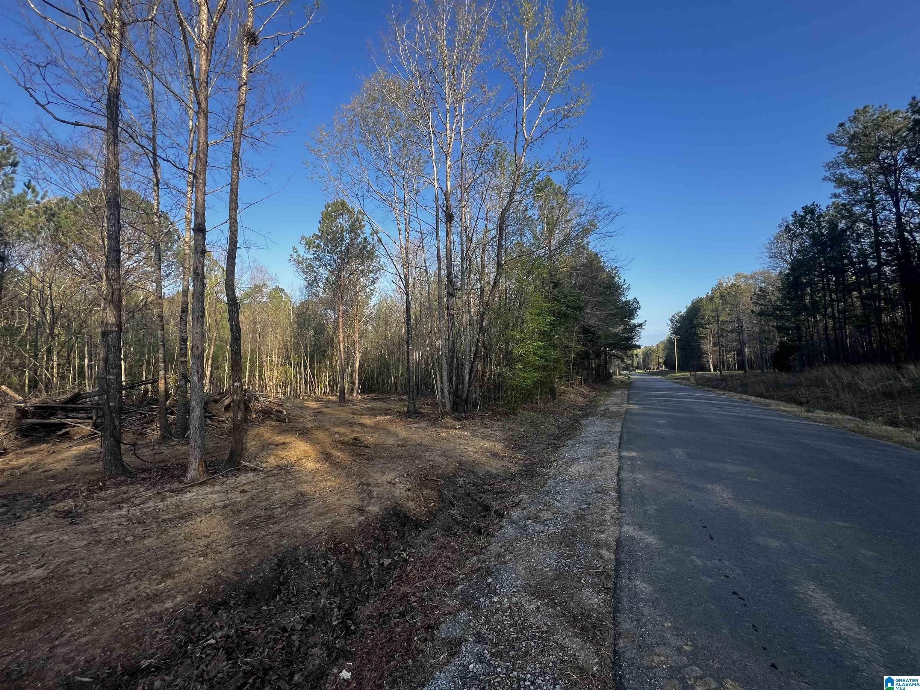 0 FRANCIS MILL ROAD, Ohatchee, AL 36271 | MLS: 21414774 | LandWatch