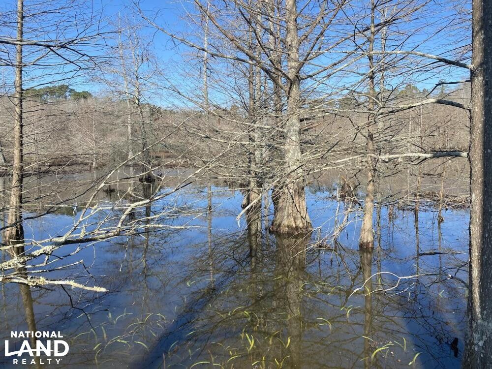 Rowell Road, Rowell, AR 71665 | LandWatch