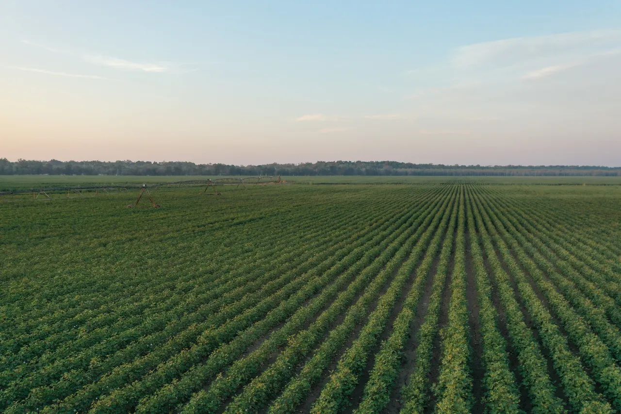 Old River Road, Sledge, MS 38670 | LandWatch