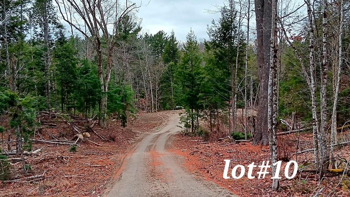 Cobb Road, Lee, ME 04455 | MLS: TMLS1166 | LandWatch