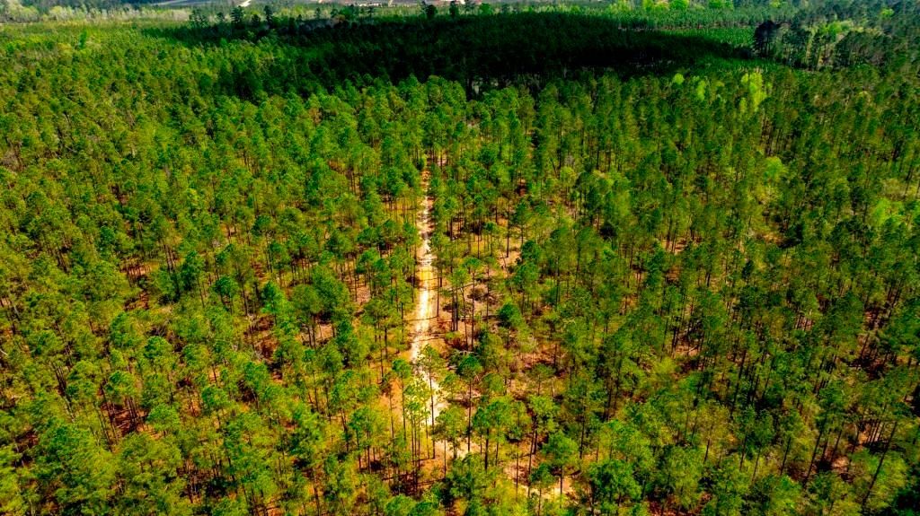 Taylor Springs Rd, Vidalia, GA 30474 | LandWatch