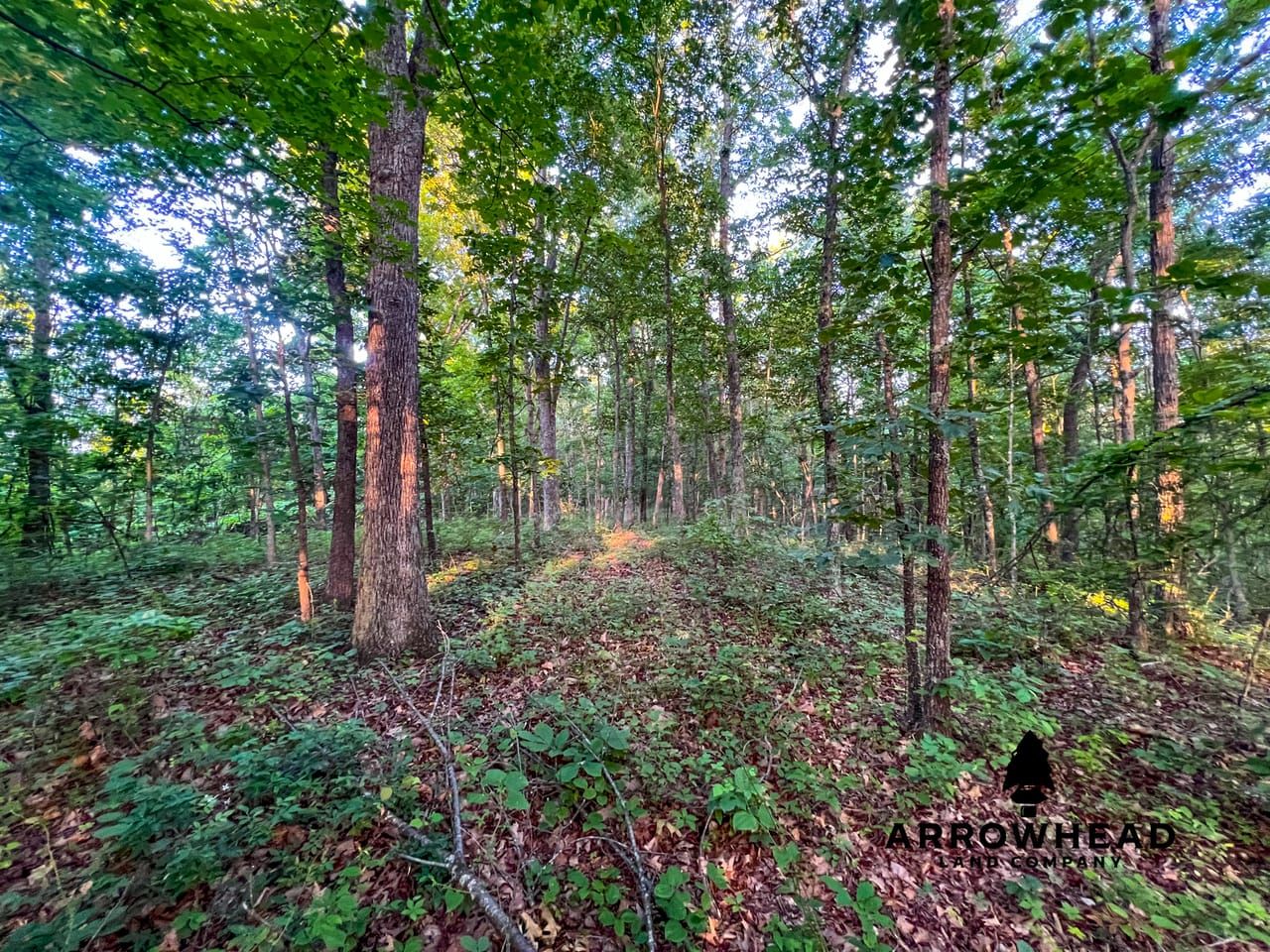 747 Township Road 77 North, Willow Wood, OH 45696 | LandWatch