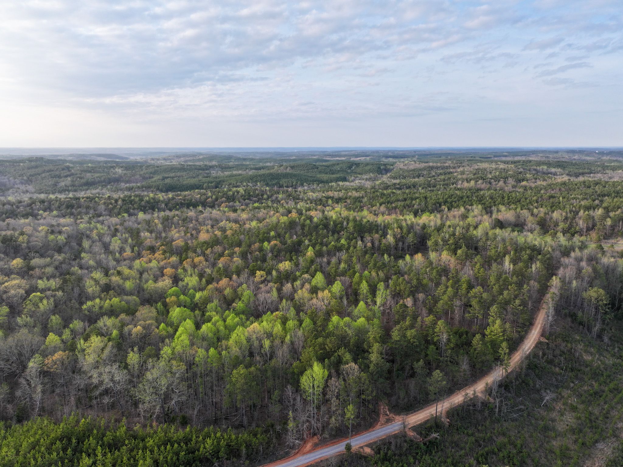 61 acres in Guin, AL, 35563 | LandWatch