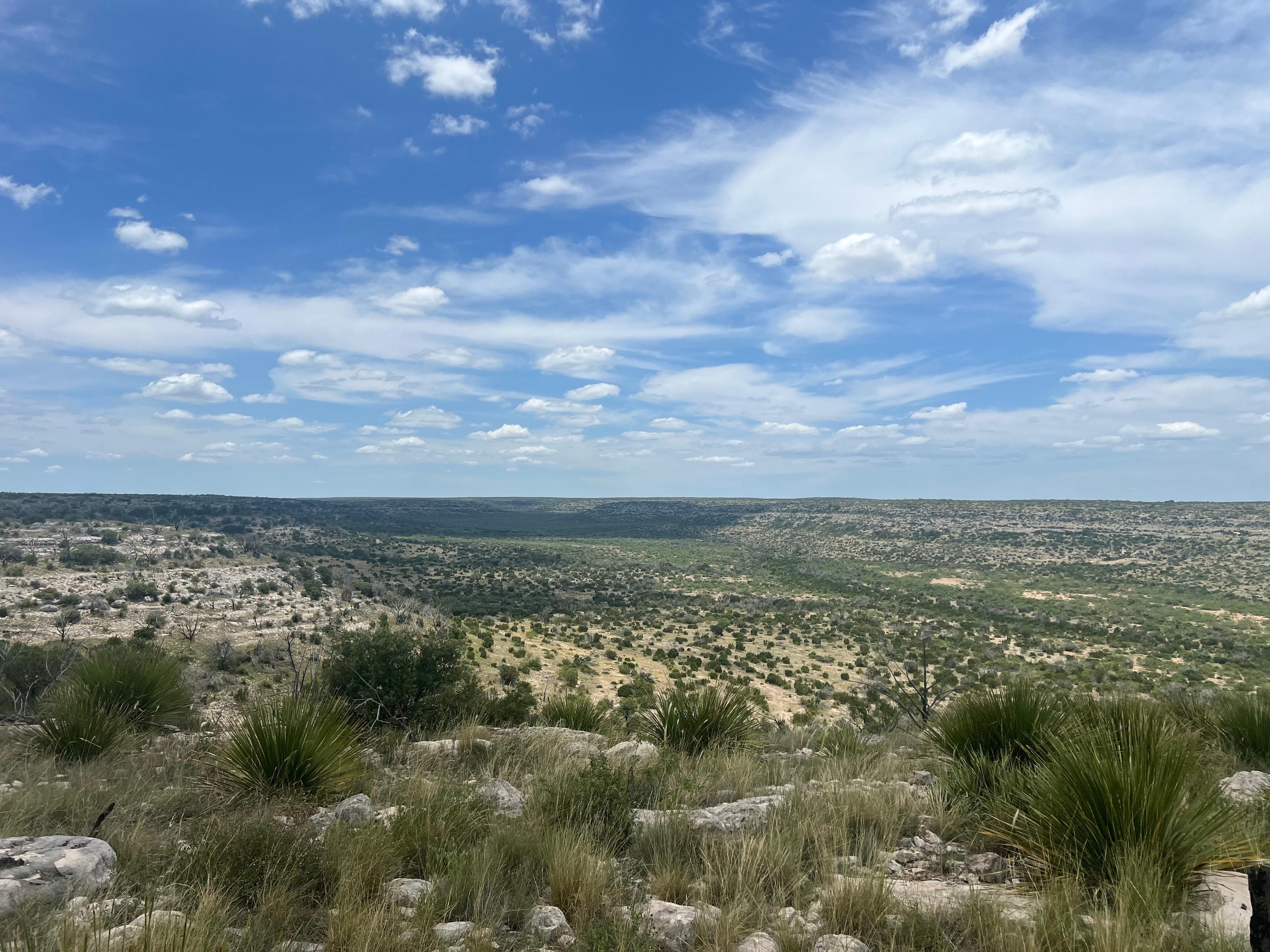 51.98 acres in Ozona, TX, 76943 | LandWatch