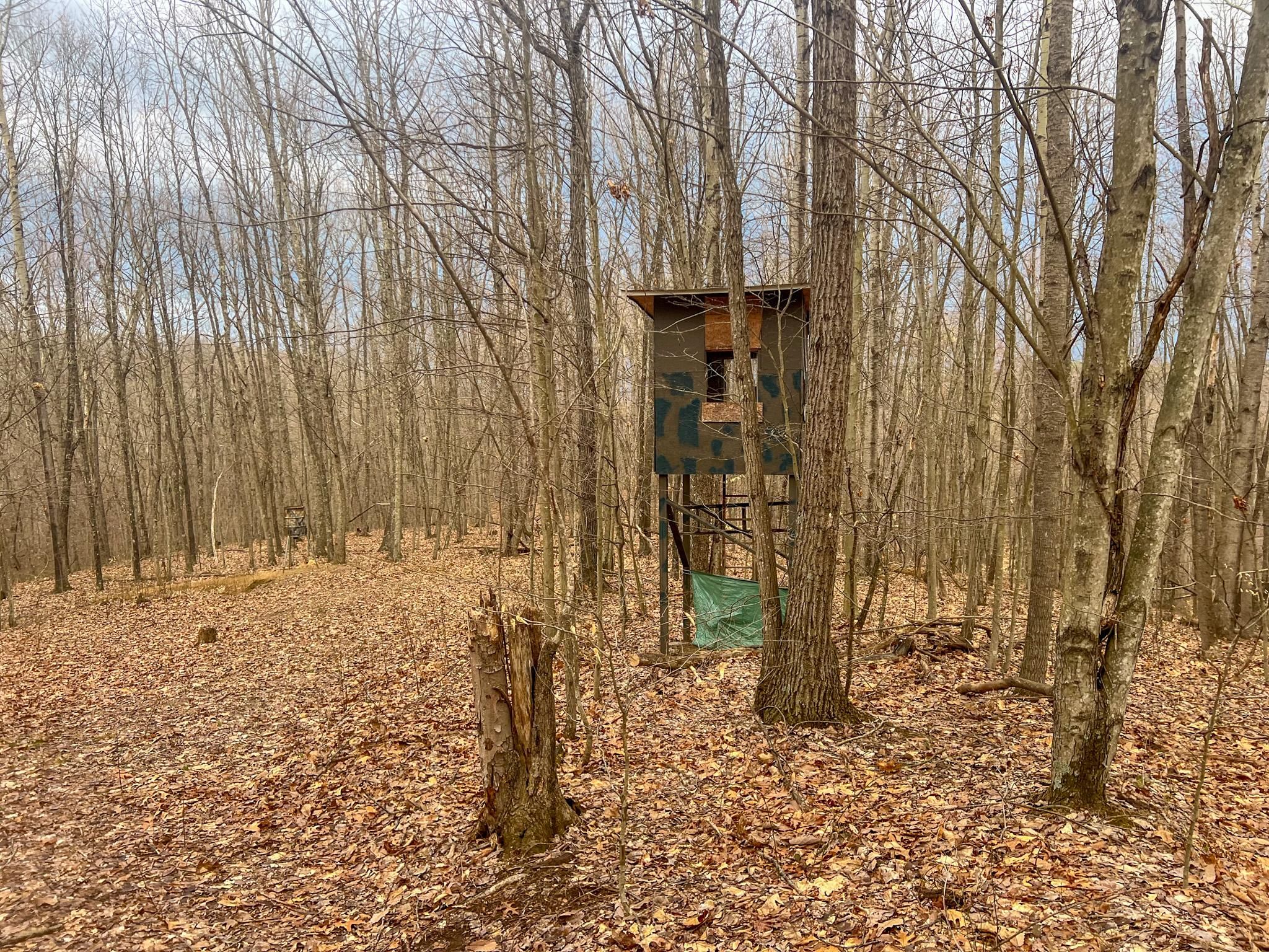 Ponetown Road, Ray, OH 45672 | LandWatch