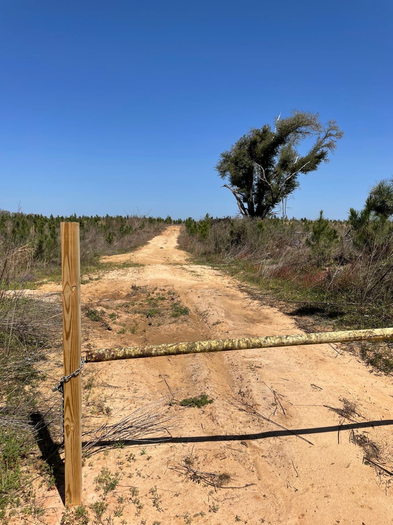 Davis Circle, Wing, AL 36483 | LandWatch