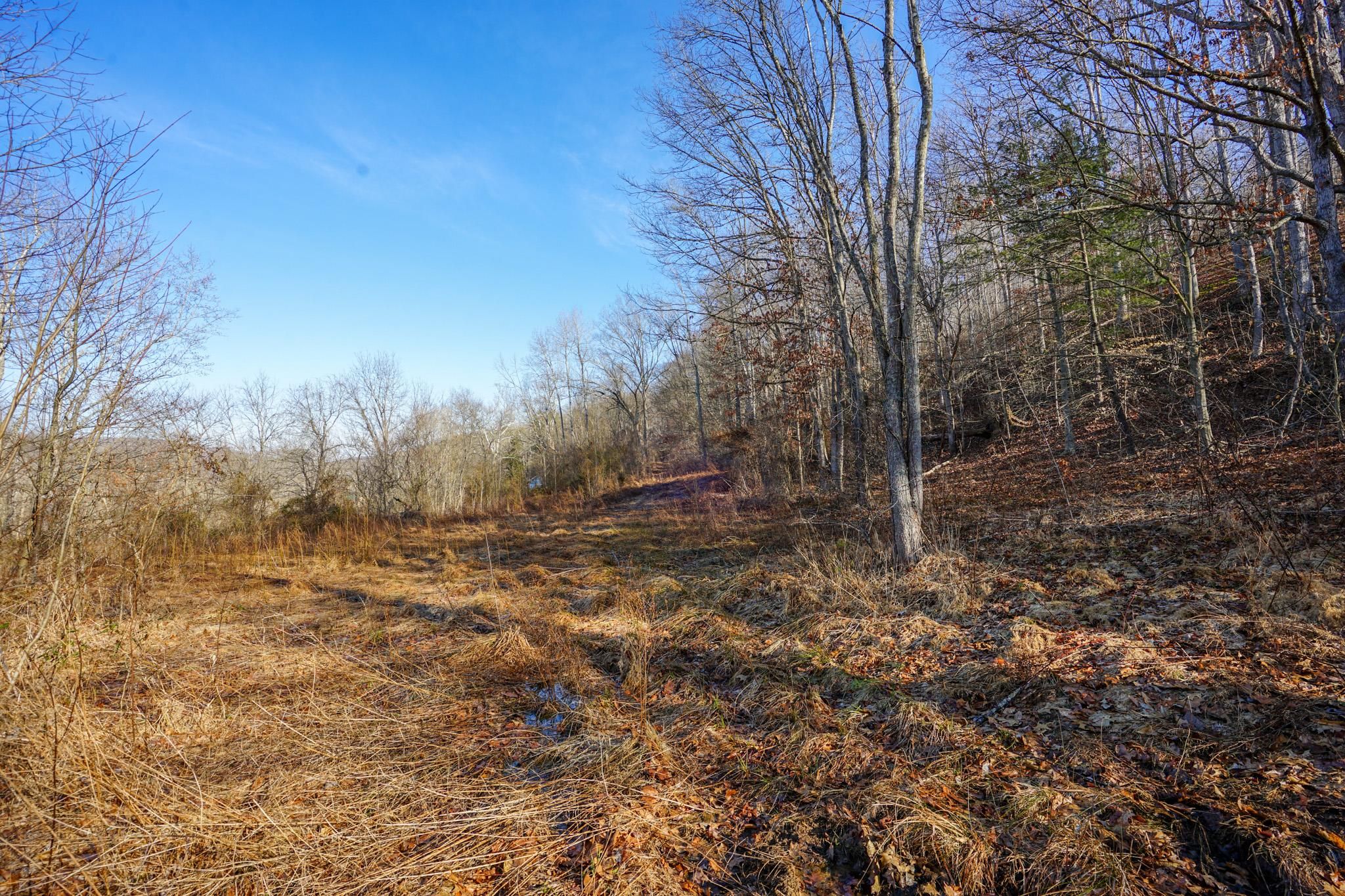 Ohio 73, Mcdermott, OH 45652 | LandWatch