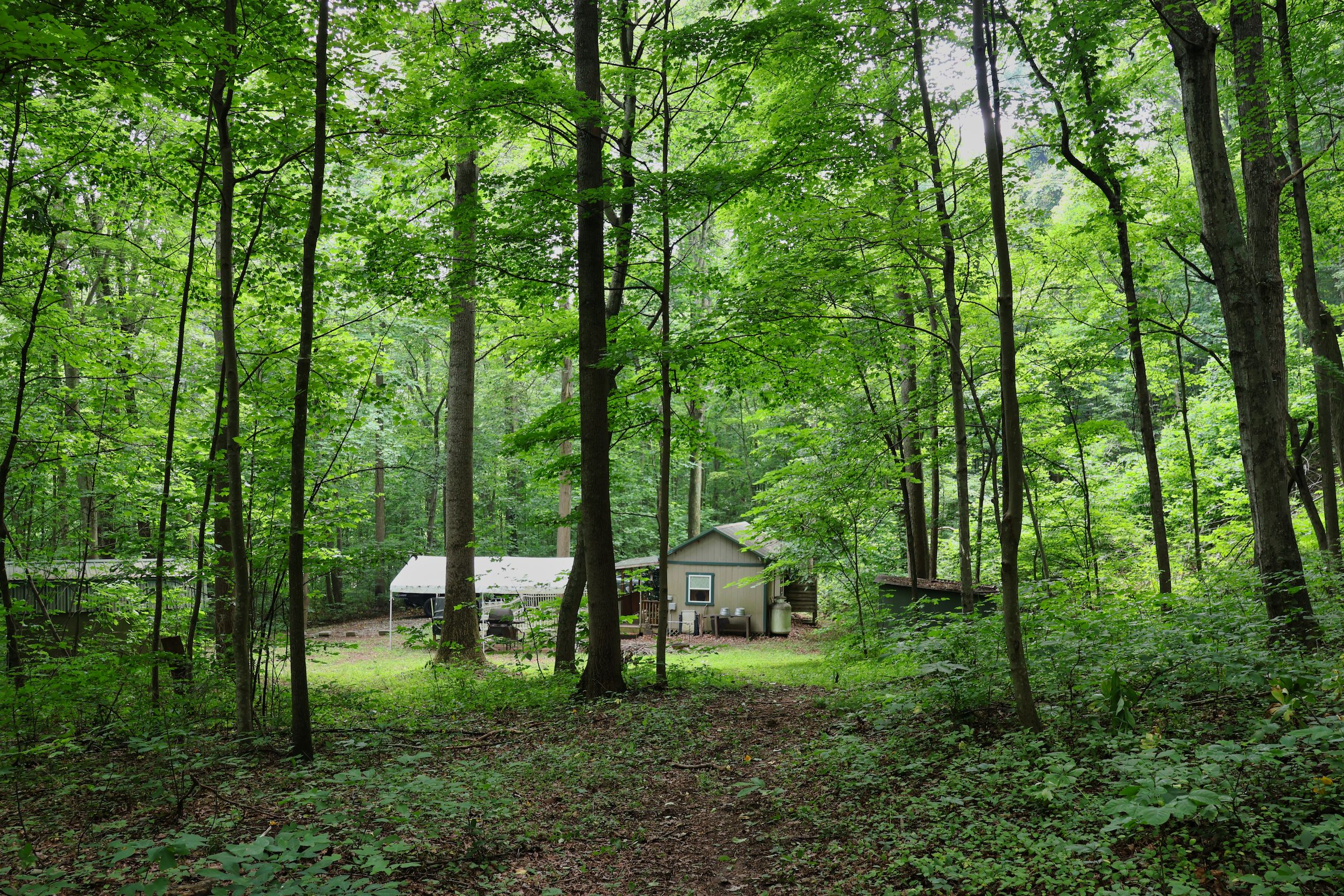 710 Routt Rd., Wallingford, KY 41093 | LandWatch