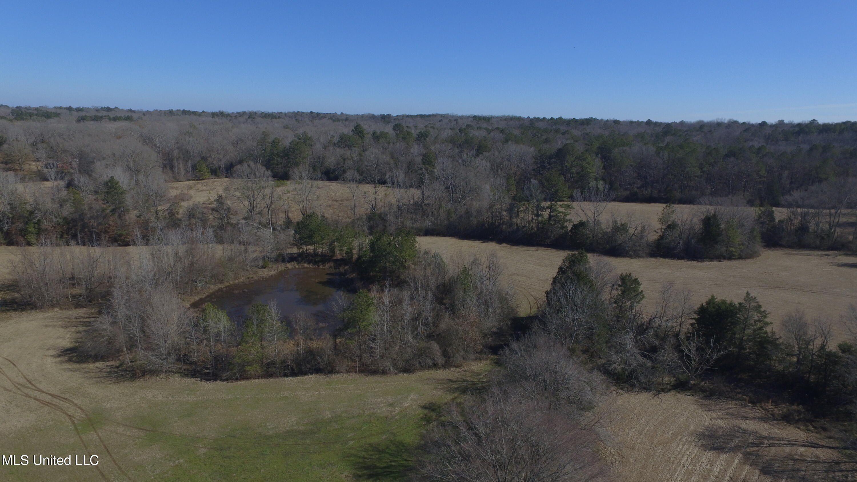 Us-51, Crystal Springs, MS 39059 | MLS: 4109551 | LandWatch