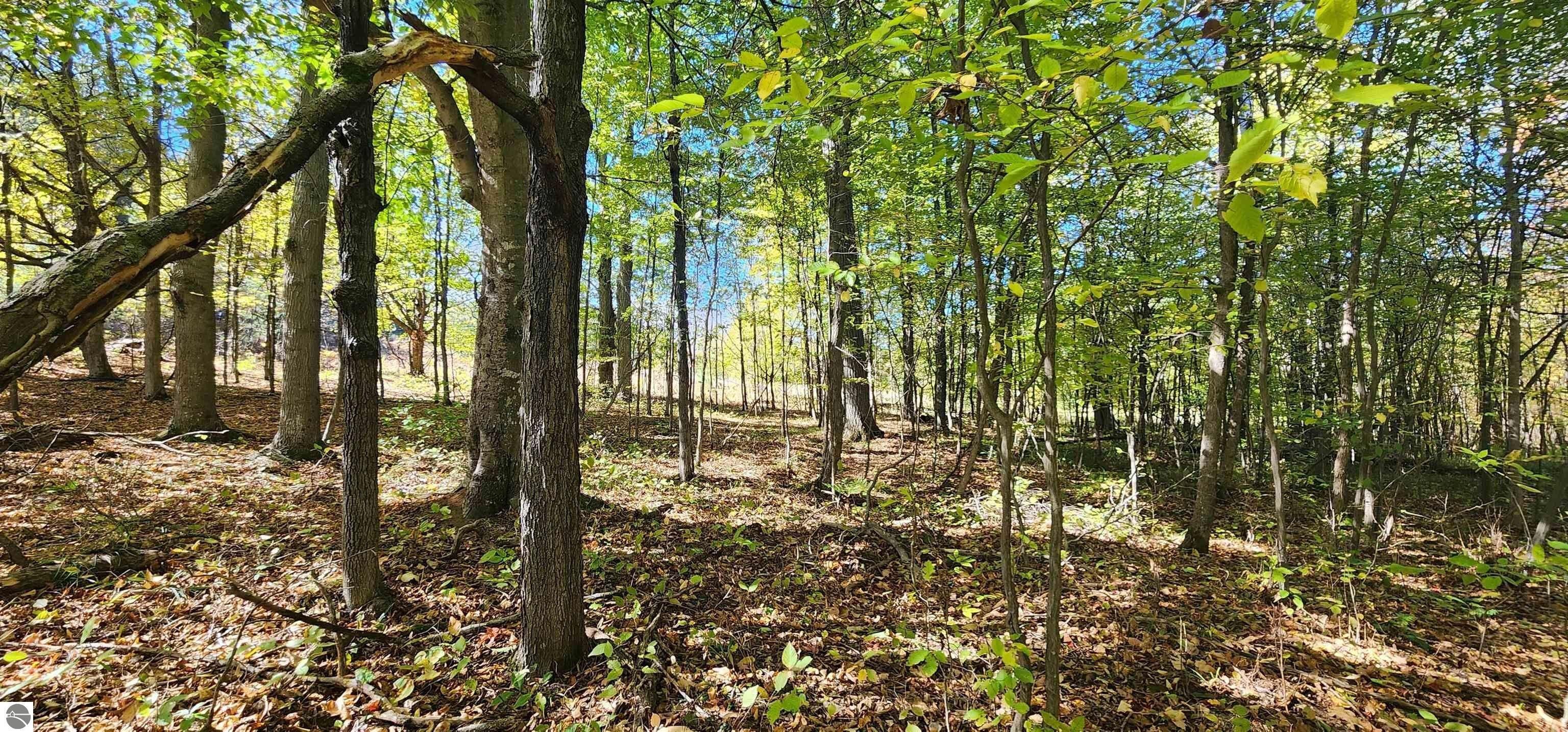 40 Acres Truesdale Road, Manton, MI 49663 | MLS: 1932295 | LandWatch
