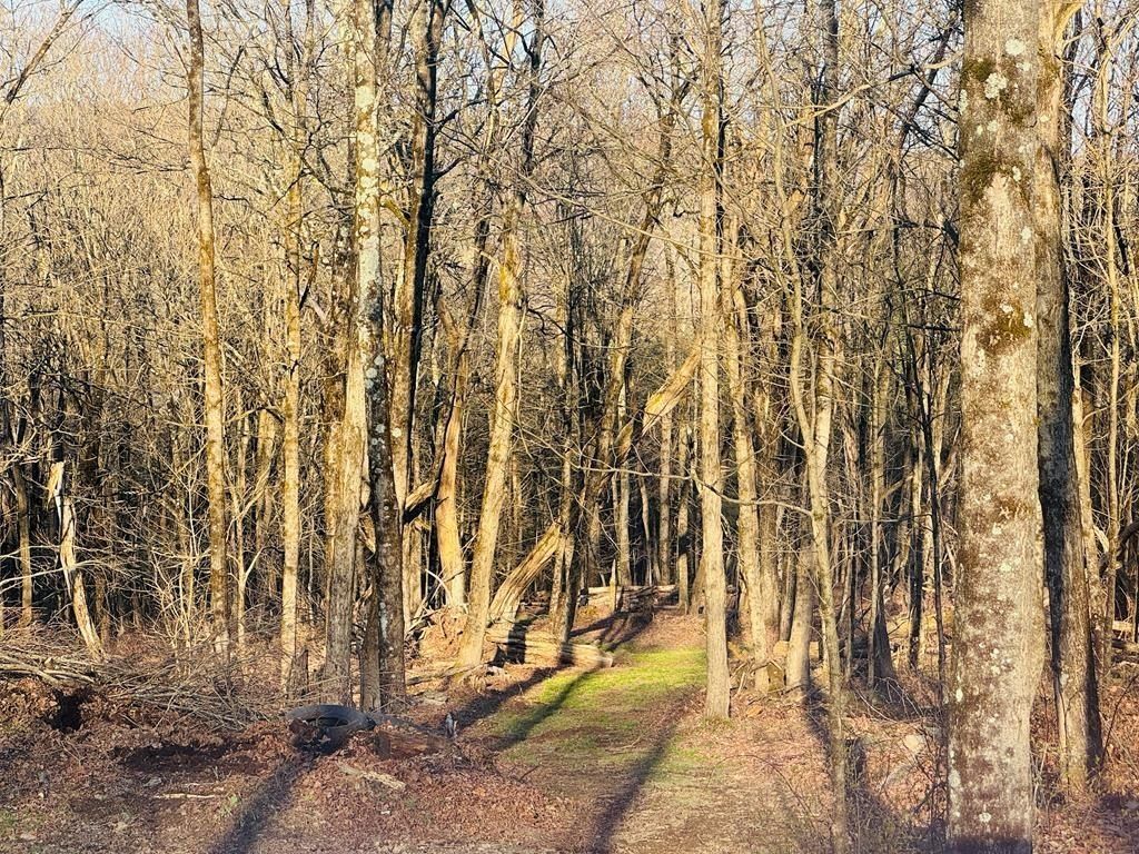 46.33 Vacant Acres Retter Rd, Rome, PA 18837 | MLS: 31722211 | LandWatch