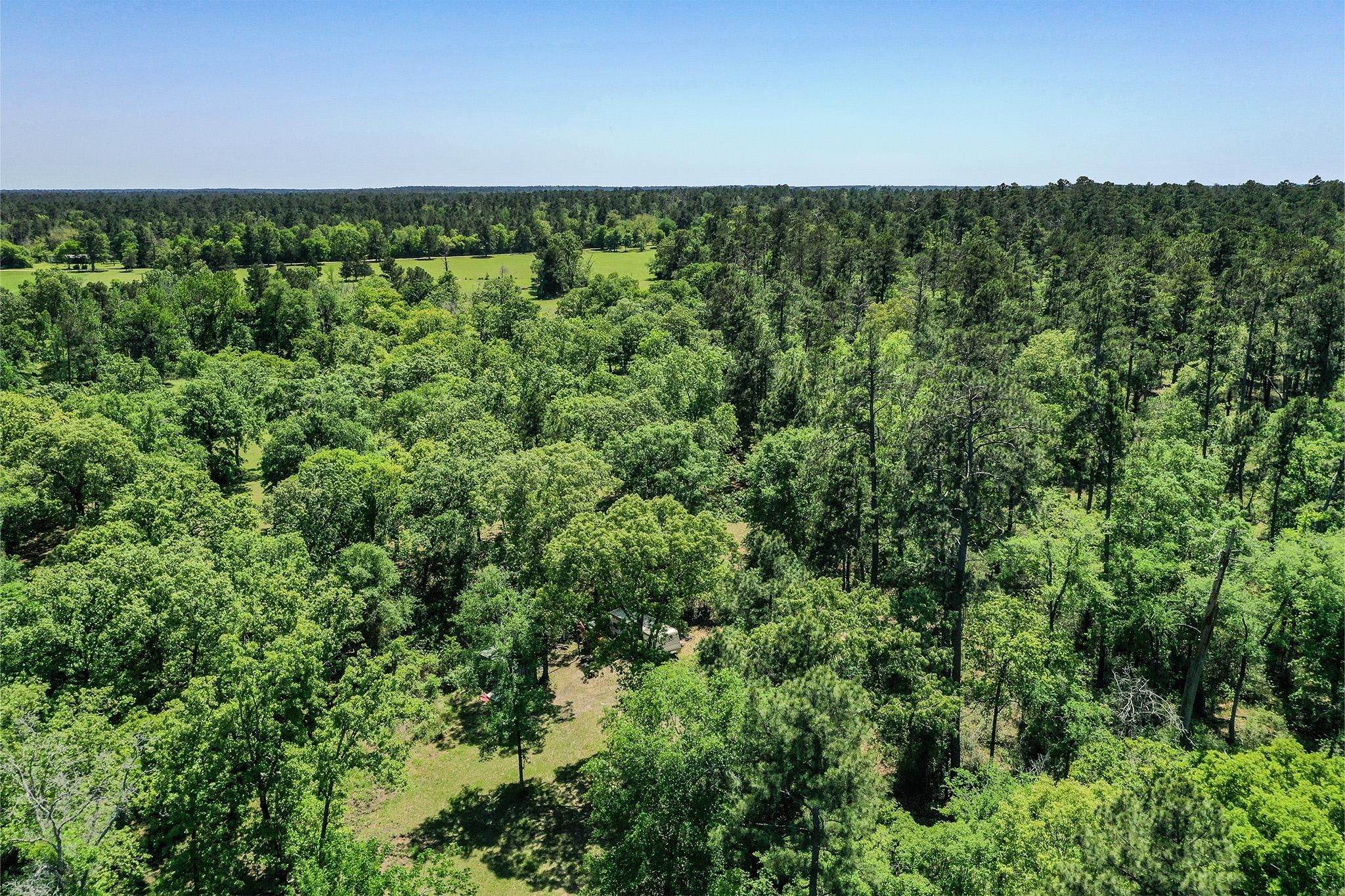 Reese Rd, Pennington, TX 75856 | MLS: 69786617 | LandWatch