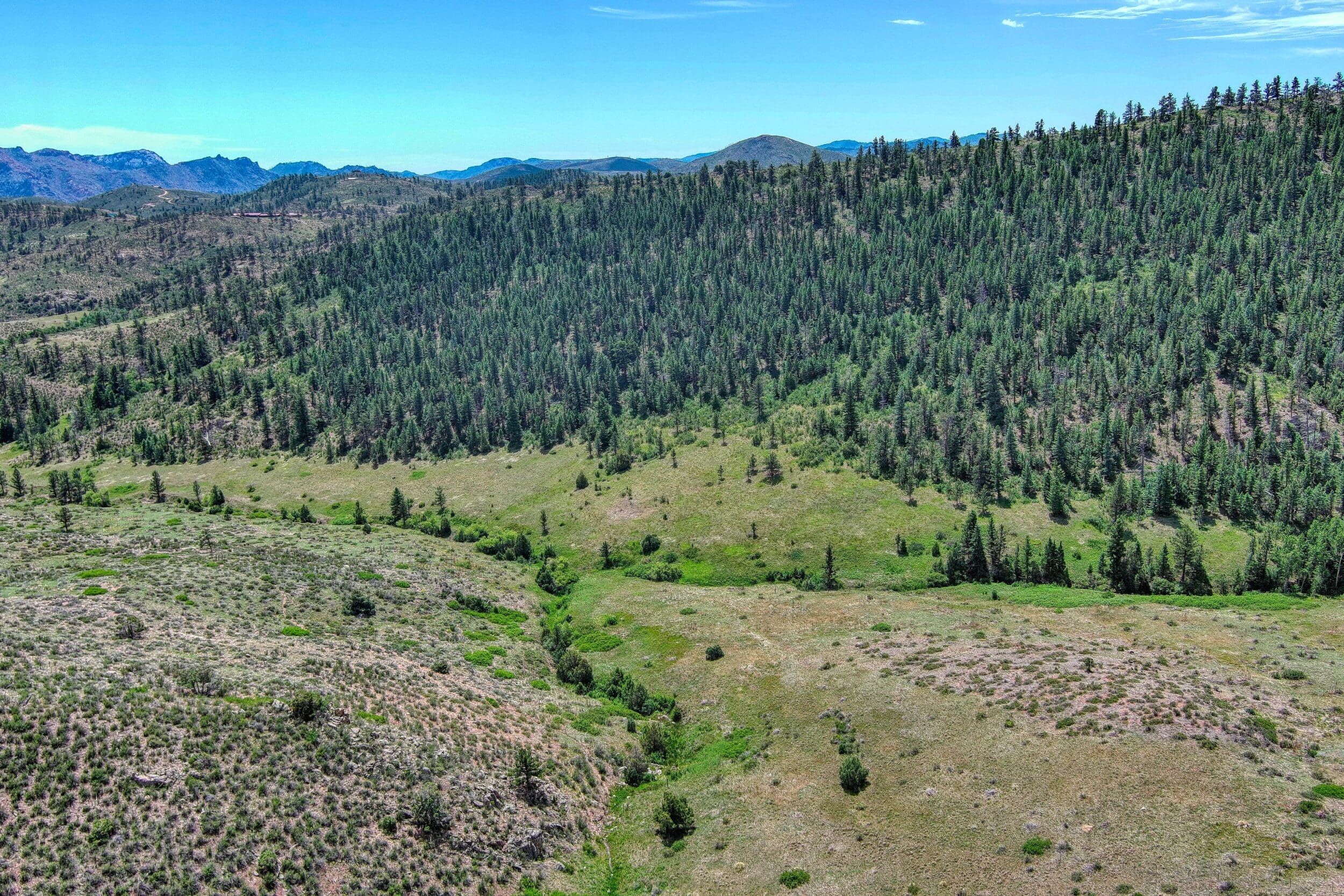 0 Mt Simon Road, Livermore, CO 80536 | LandWatch