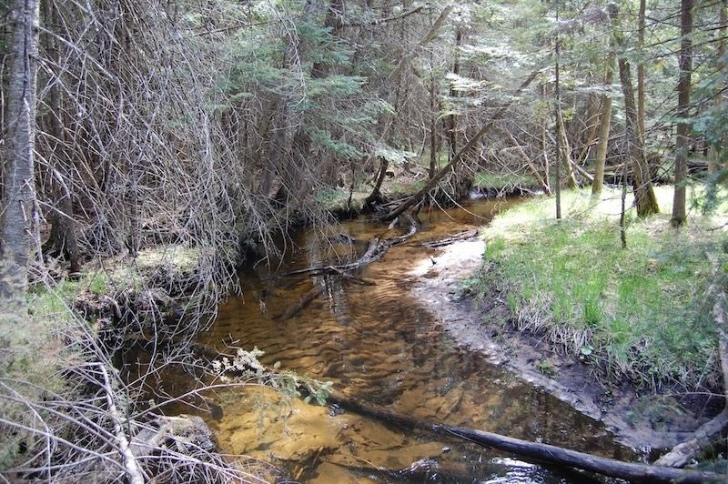 5251 Hodge Road, Kingsley, MI 49649 | LandWatch