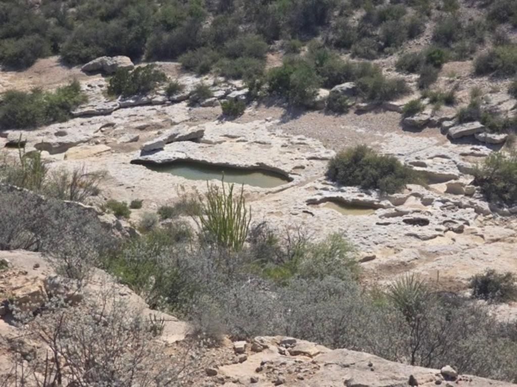 120.18 acres in Dryden, TX, 78851 | LandWatch