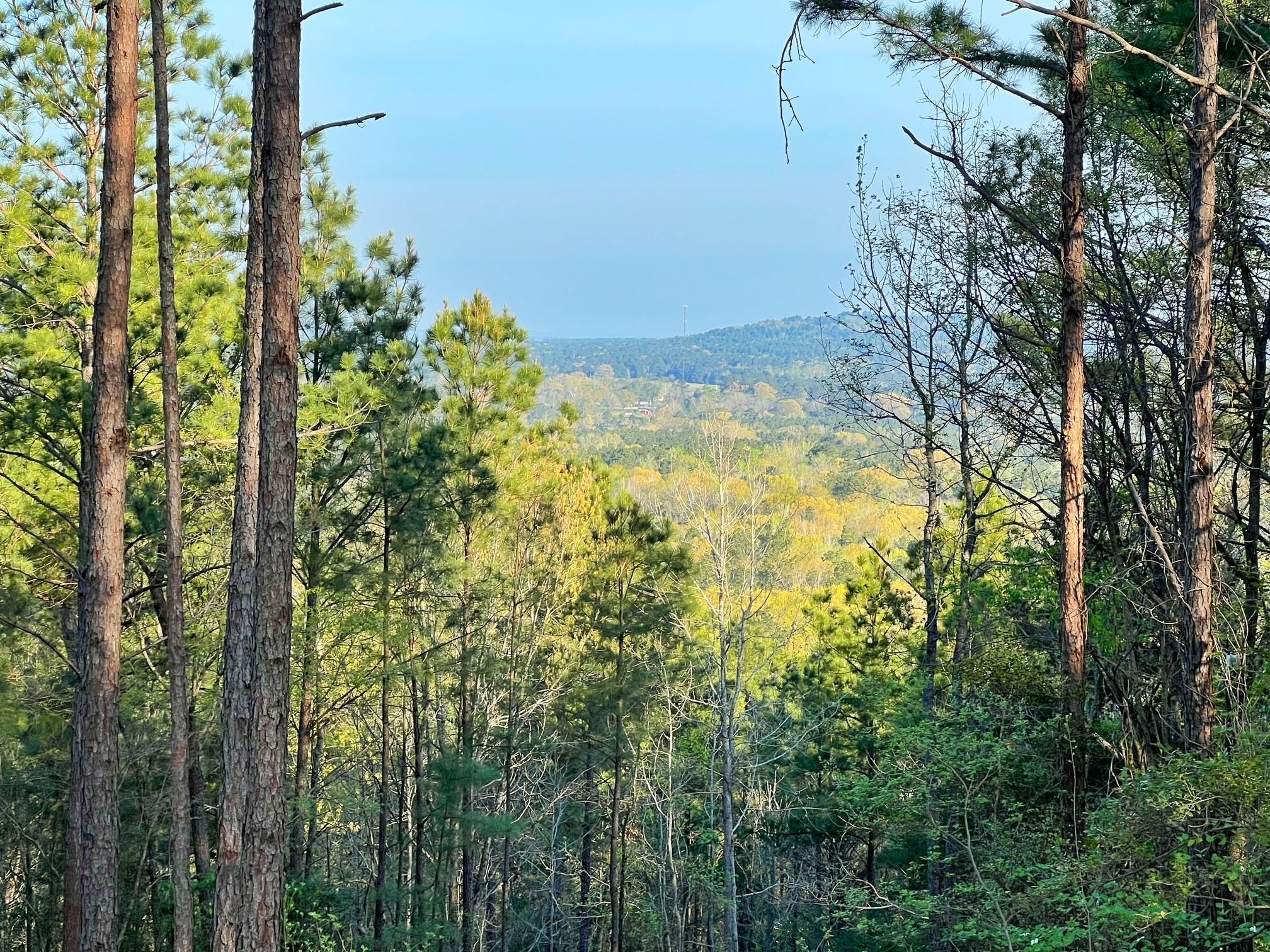 County Road 2107, Rusk, TX 75785 | LandWatch