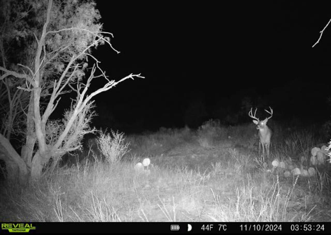 TBD Highway 83, Childress, TX 79079 | LandWatch