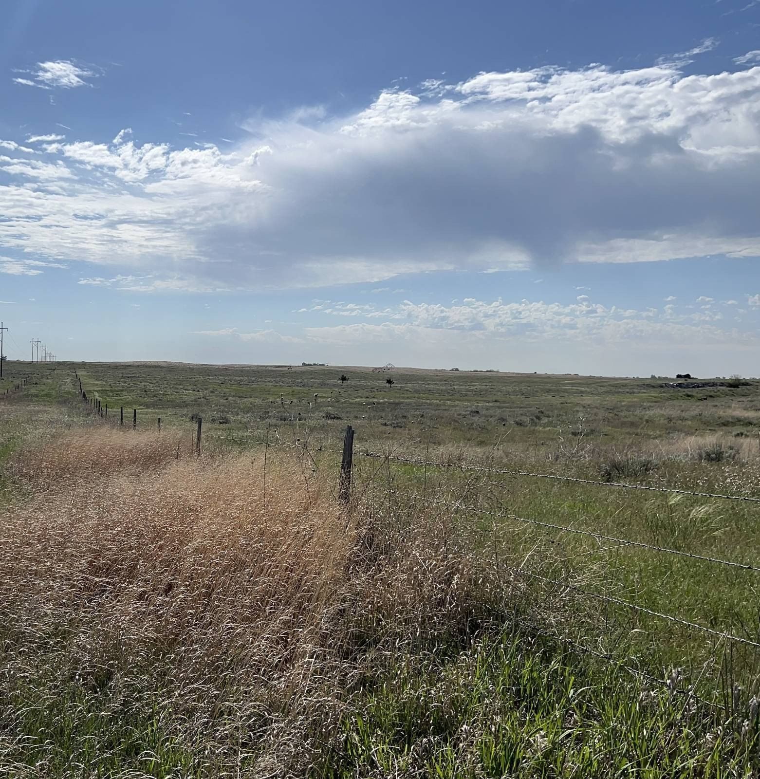 75895 Rd 338, Madrid, NE 69150 | MLS: 11473989 | LandWatch