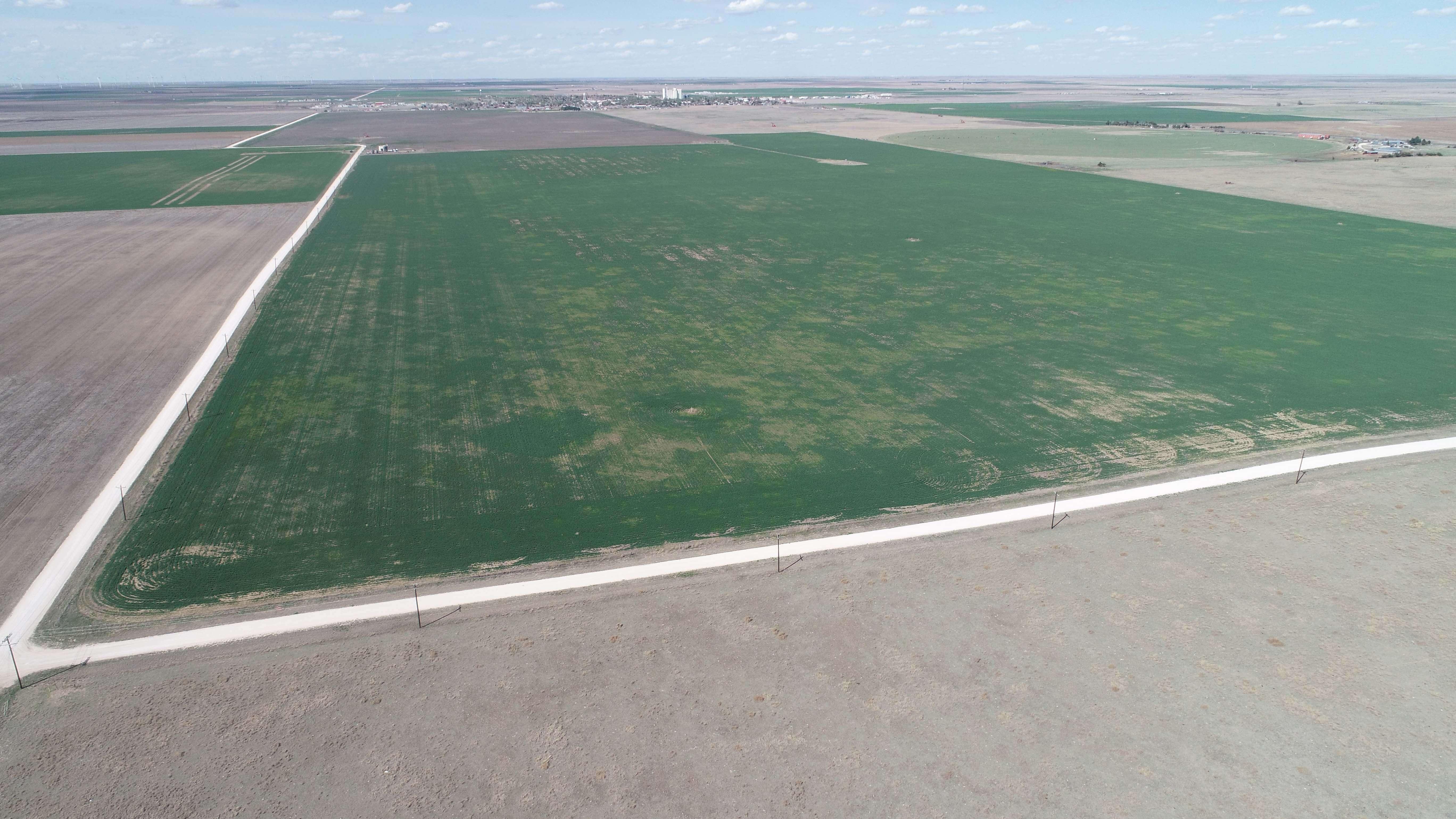 613 acres in Booker, TX, 79005 | LandWatch