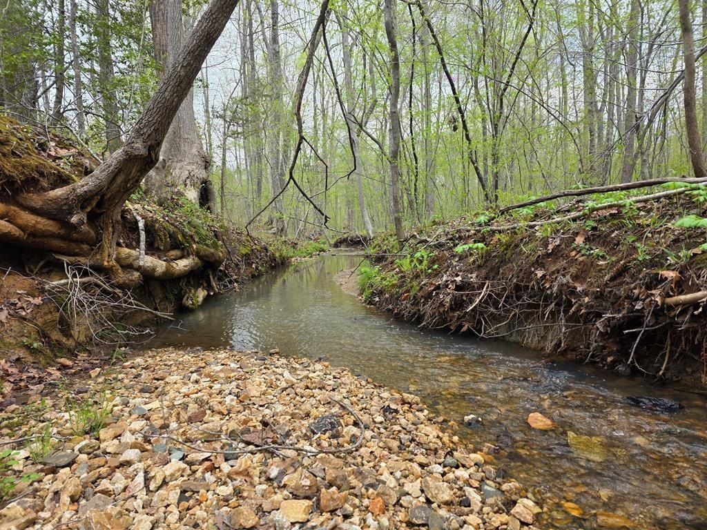 Spring Grove Rd, Spout Spring, VA 24593 | MLS: 57127 | LandWatch