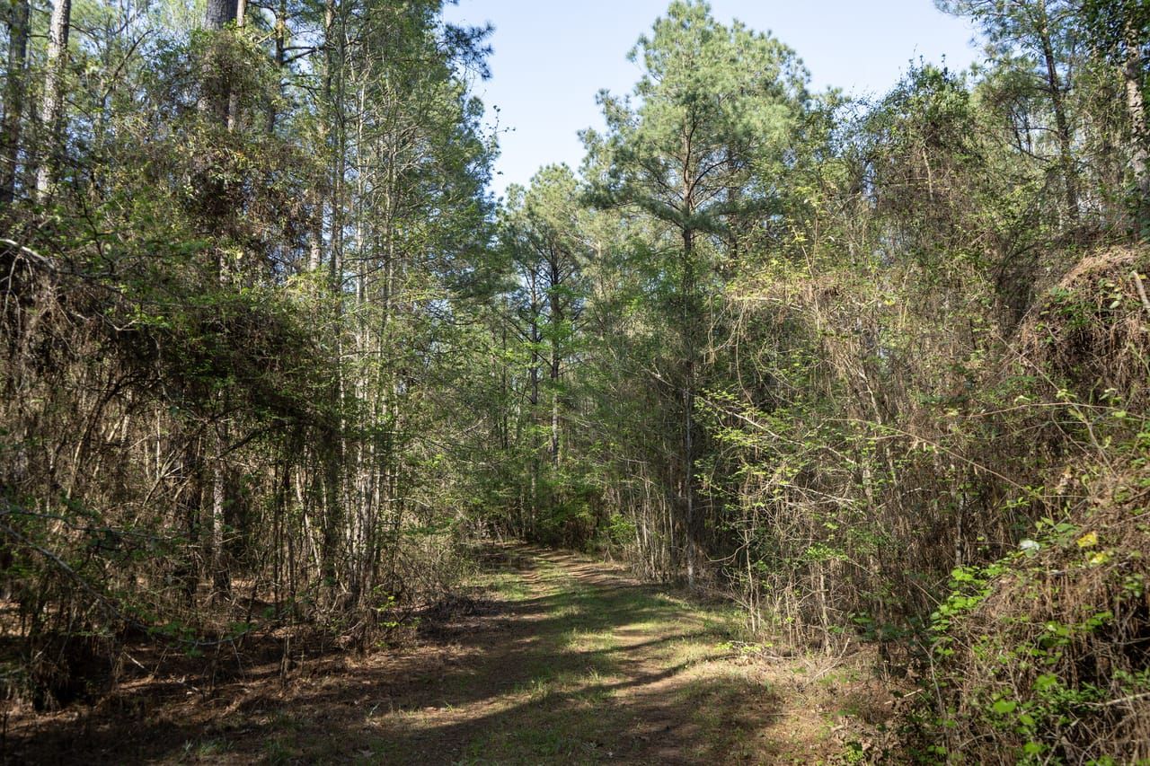 Shortstraw Road, Choudrant, LA 71270 | LandWatch