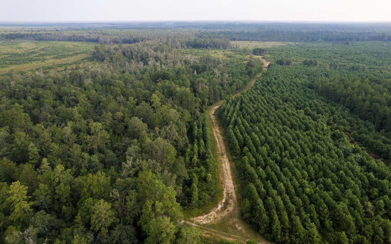 785 acres in Buna, TX, 77612 | LandWatch