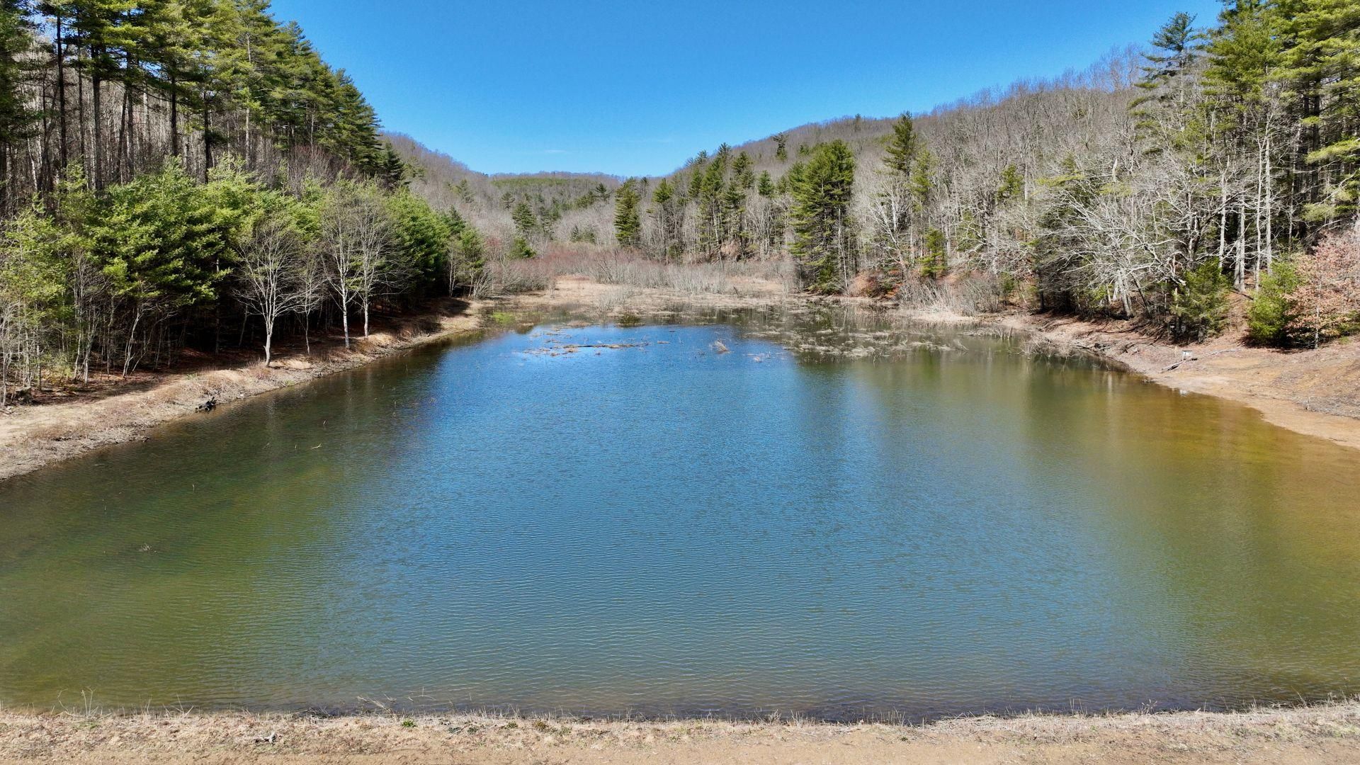579 Tilden Road, Beaver, WV 25813 | MLS: BLUE JAY LAKE RETREAT | LandWatch
