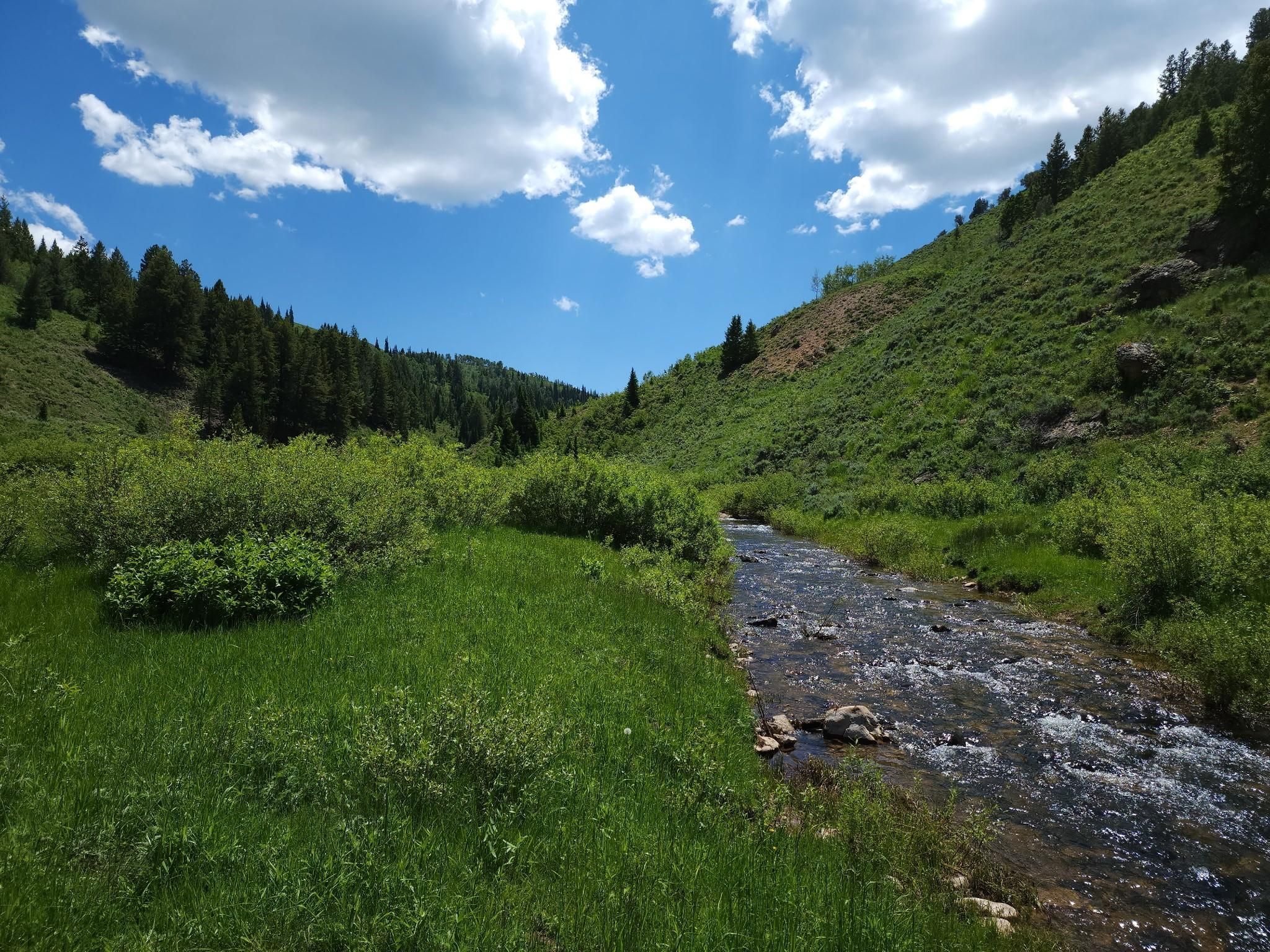 7,008 acres in Woodruff, UT, 84086 | LandWatch