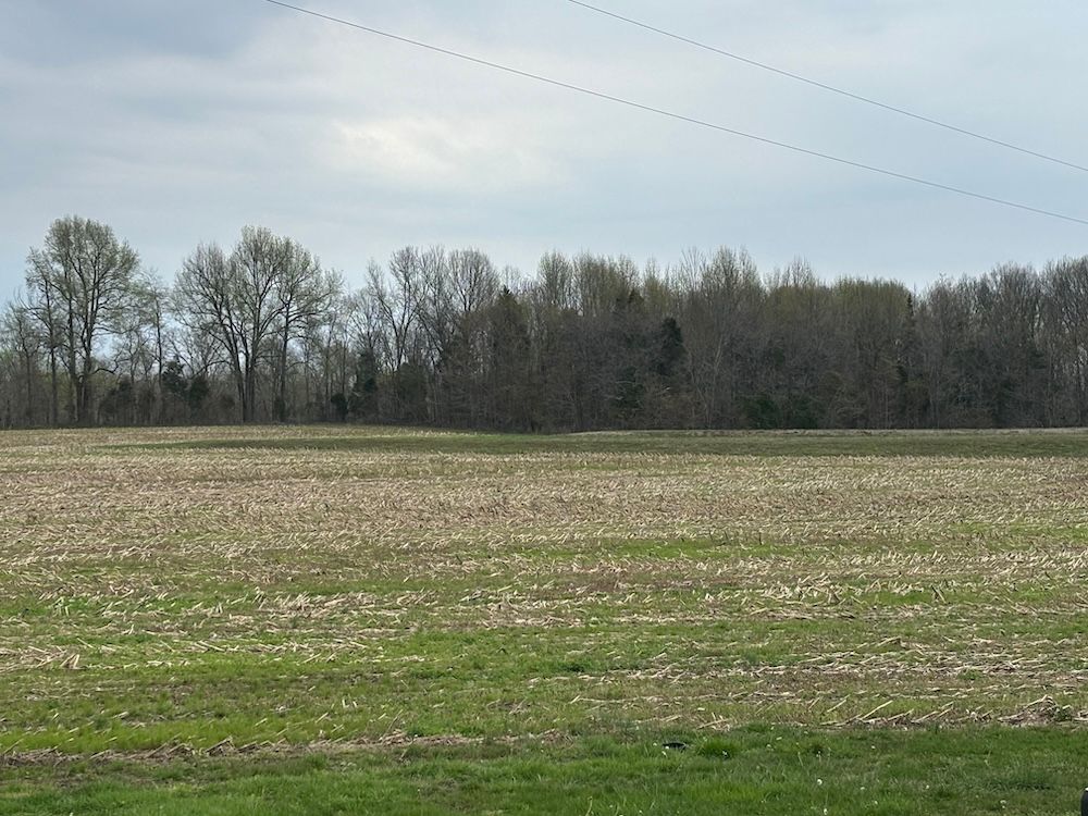 129 Henry Hathorne Lane, Rhodelia, KY 40157 | LandWatch