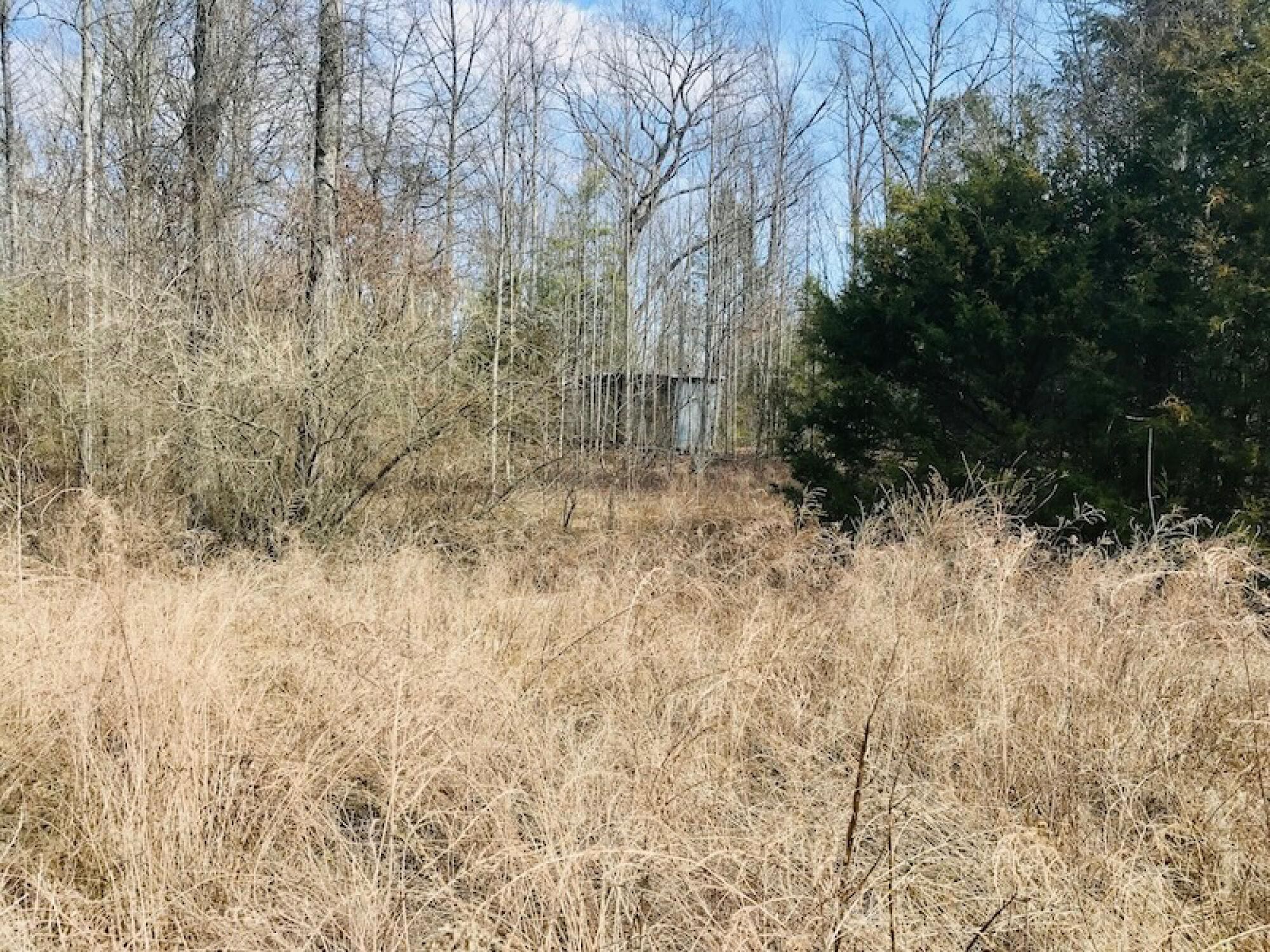 Rob Watson Road, Oneida, TN 37841 | LandWatch