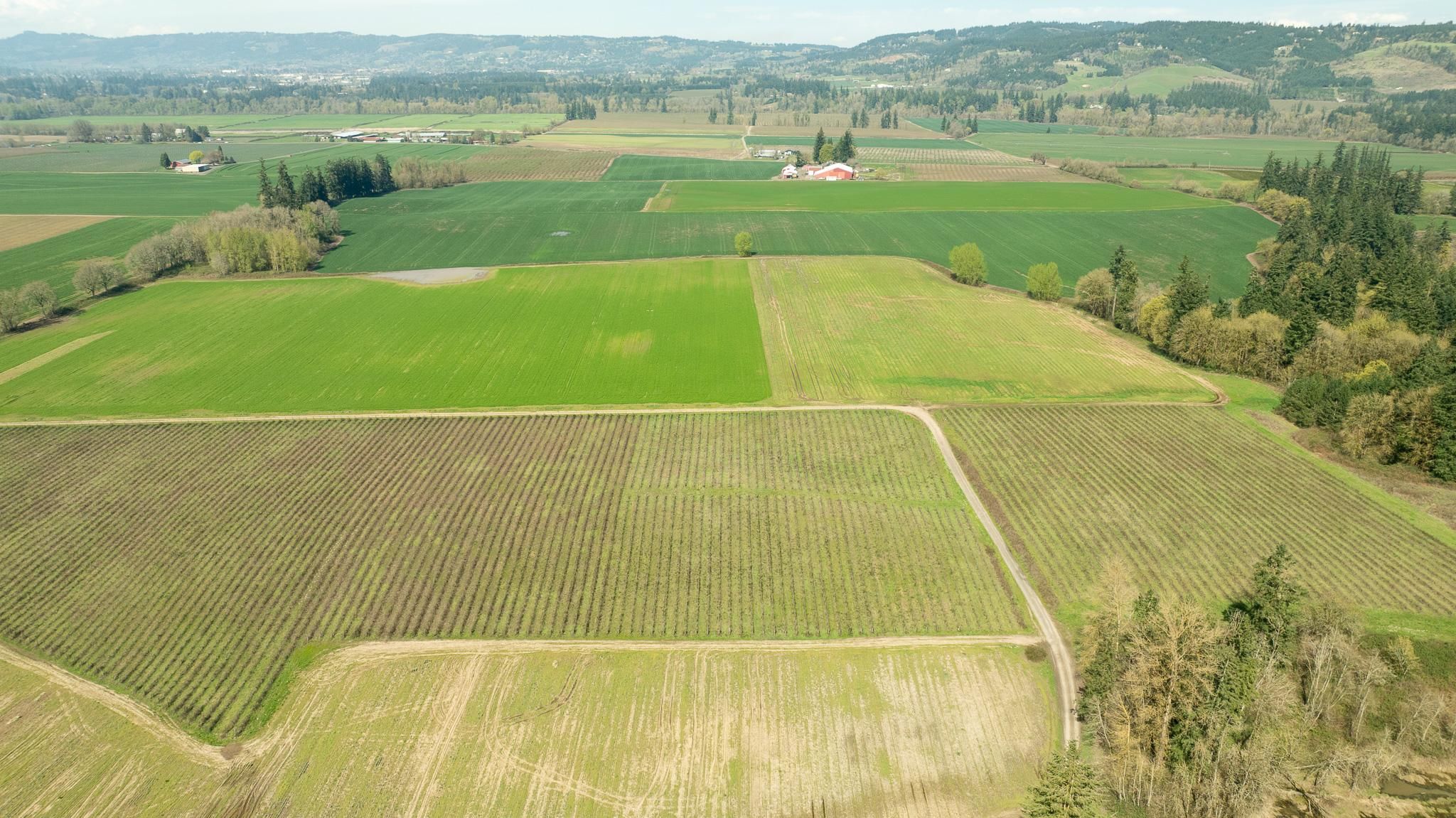 21713 French Prairie Road Northeast, Saint Paul, OR 97137 | LandWatch