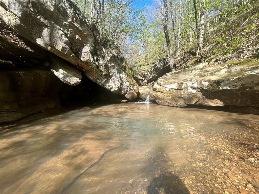 142 NC 8389, Jasper, AR 72641 | MLS: 1304887 | LandWatch