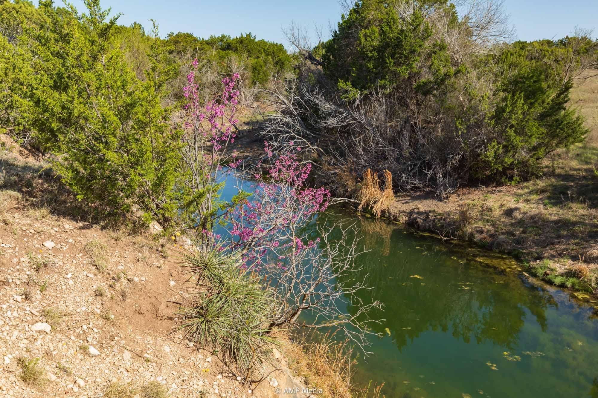 80 acres in Shep, TX, 79566 | LandWatch