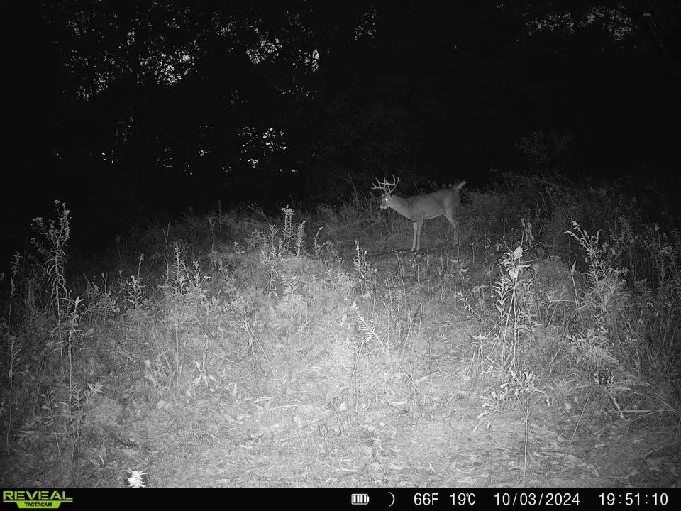 8487 Mount Zion Road, Felicity, OH 45120 | LandWatch